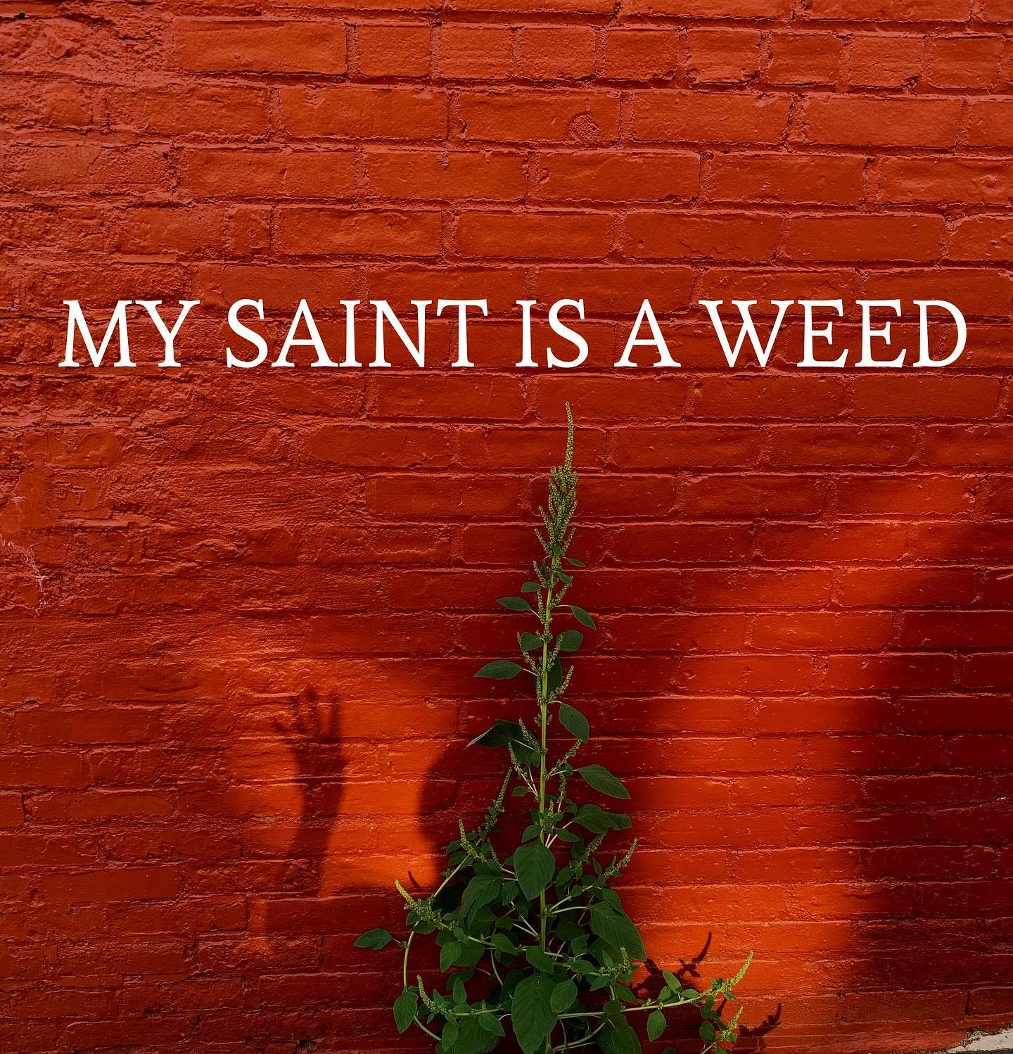 My Saint is a Weed - by Sophie Strand - Make Me Good Soil