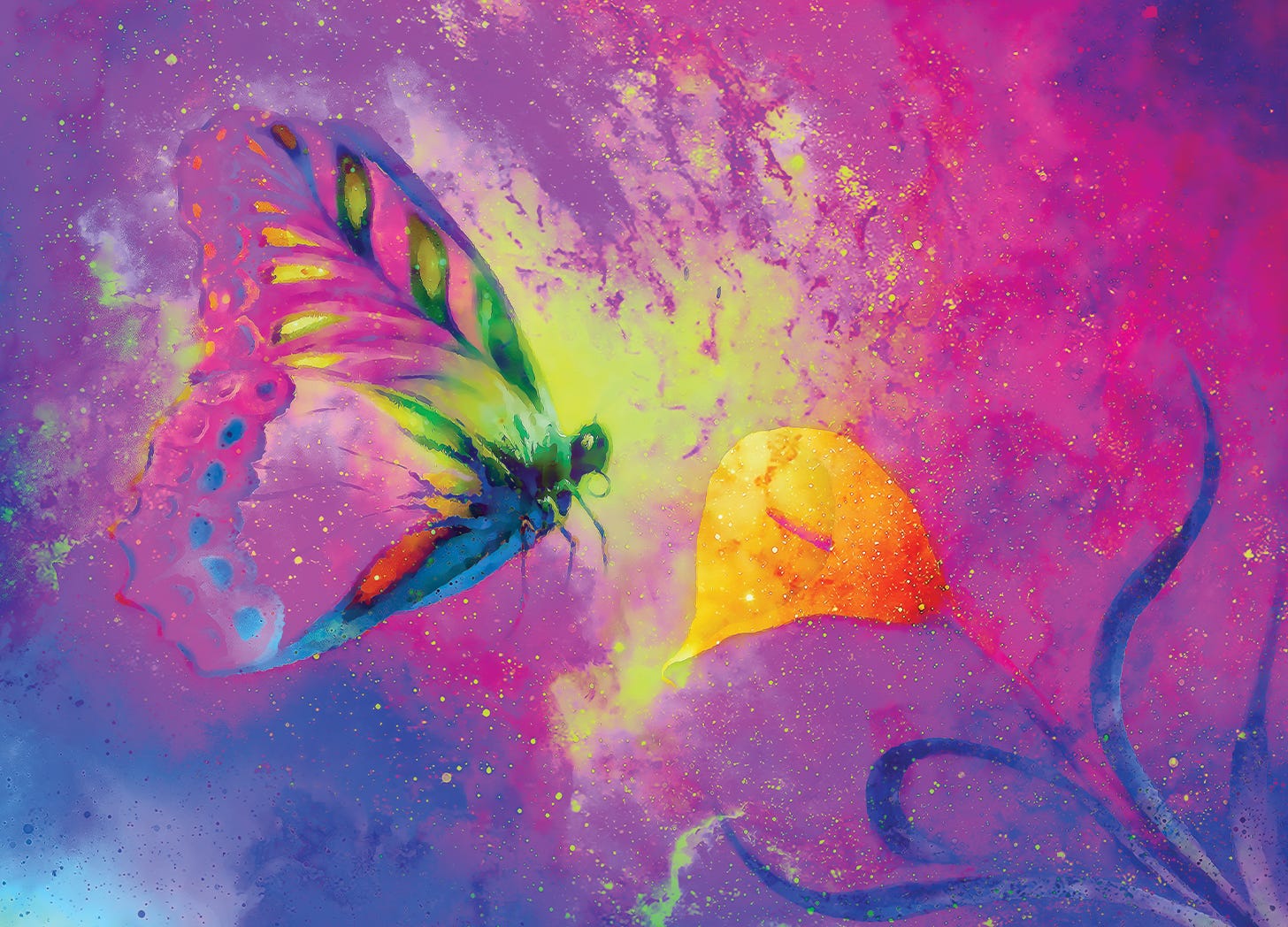 Extricating Ourselves From Our Cocoons - KW Norton Borders