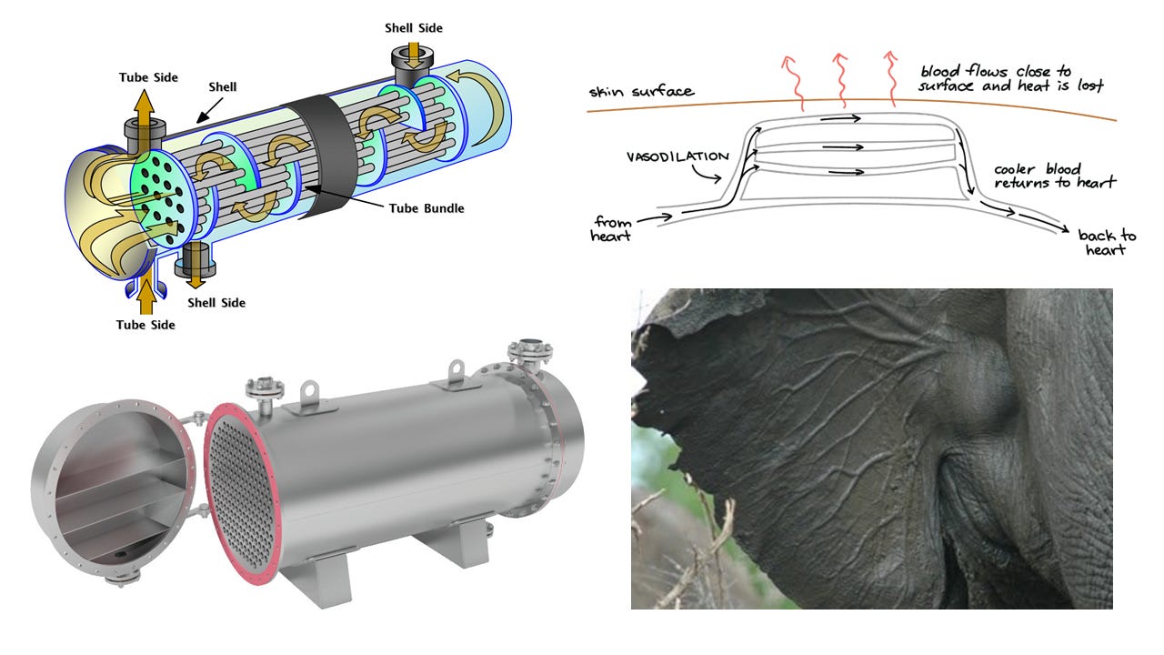 Heat Exchange - by Anna Marie, PhD