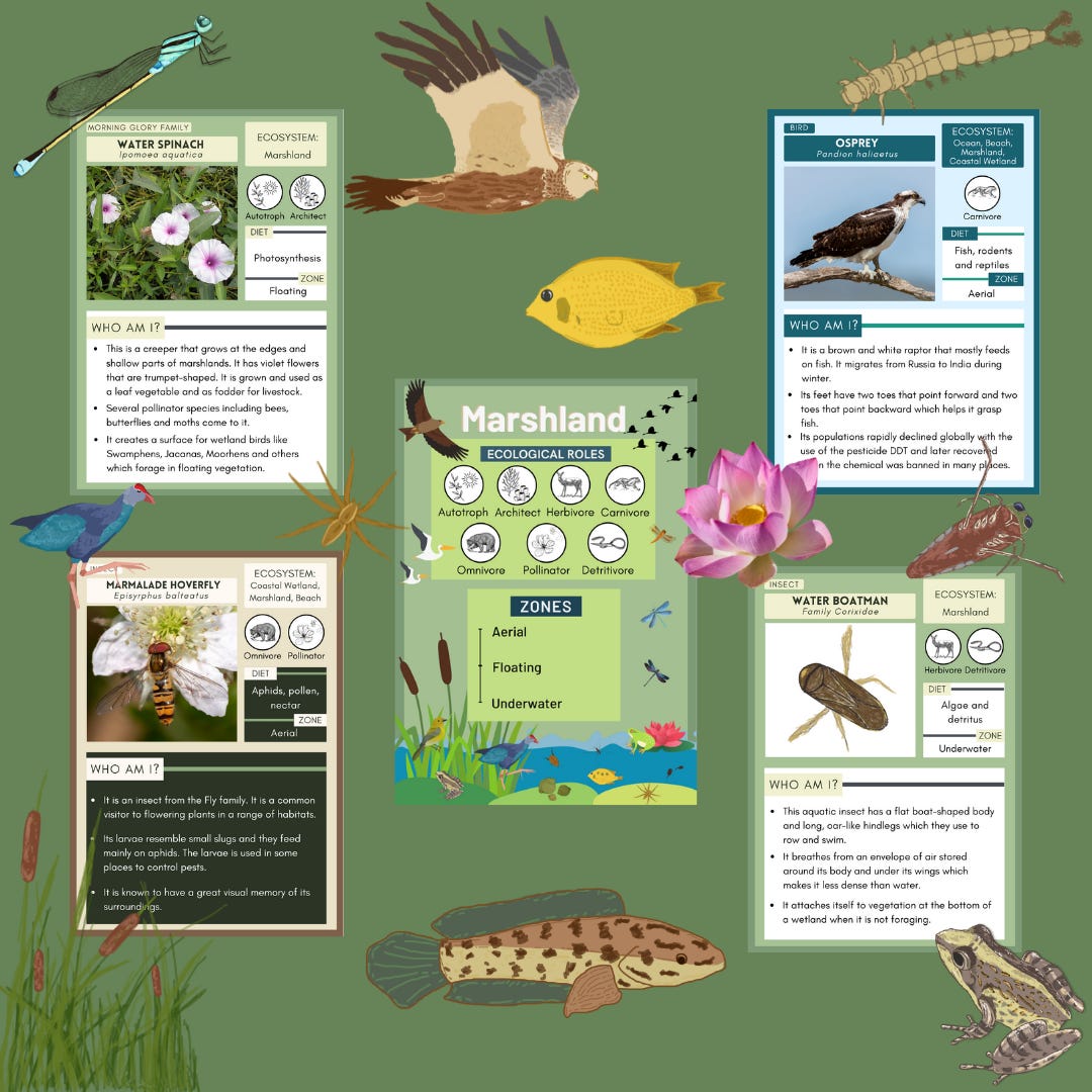 How Chennai's naturalists adopt creative ways to teach environmental ...