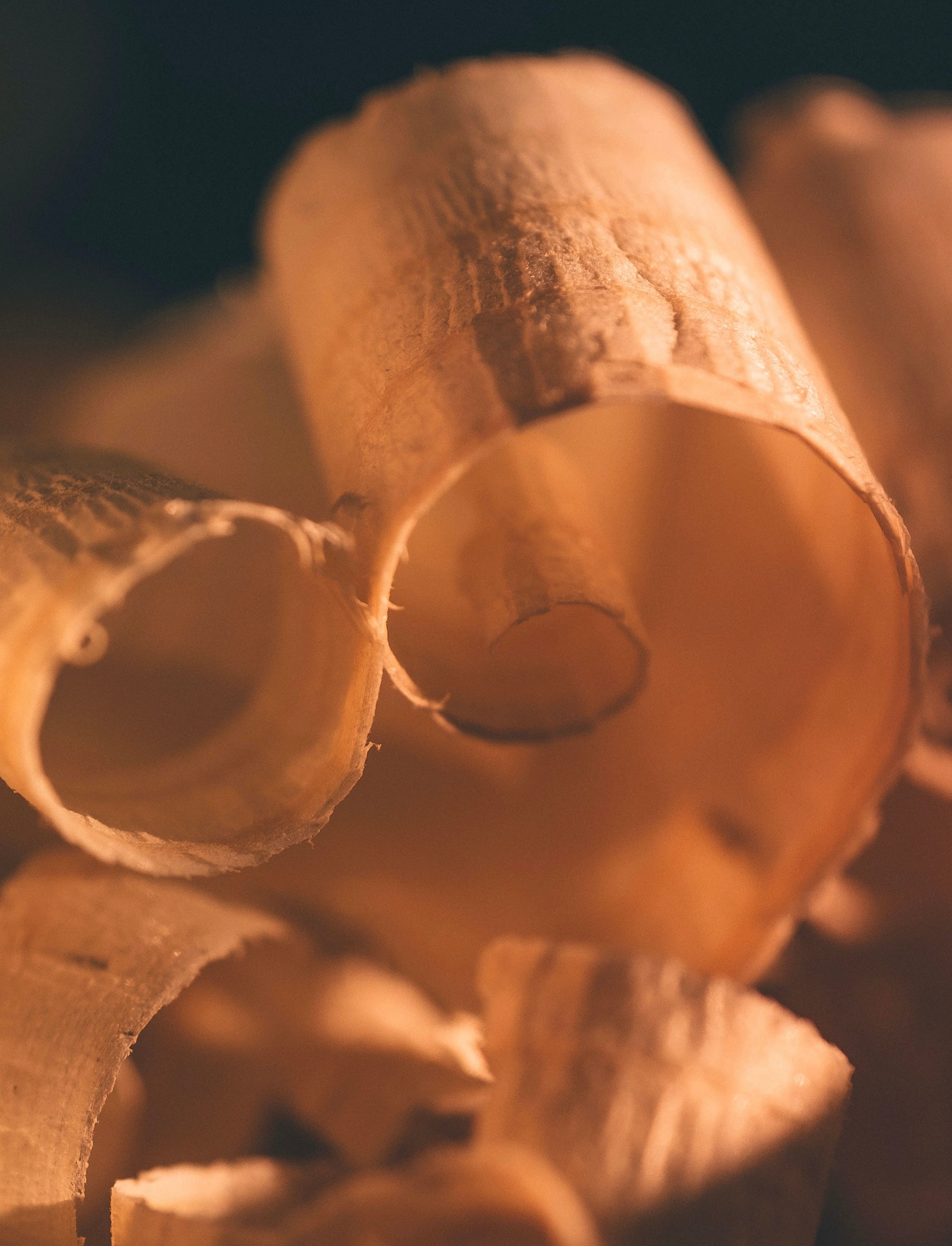 Lessons - by Adrian P Conway - Adrian's Fiction