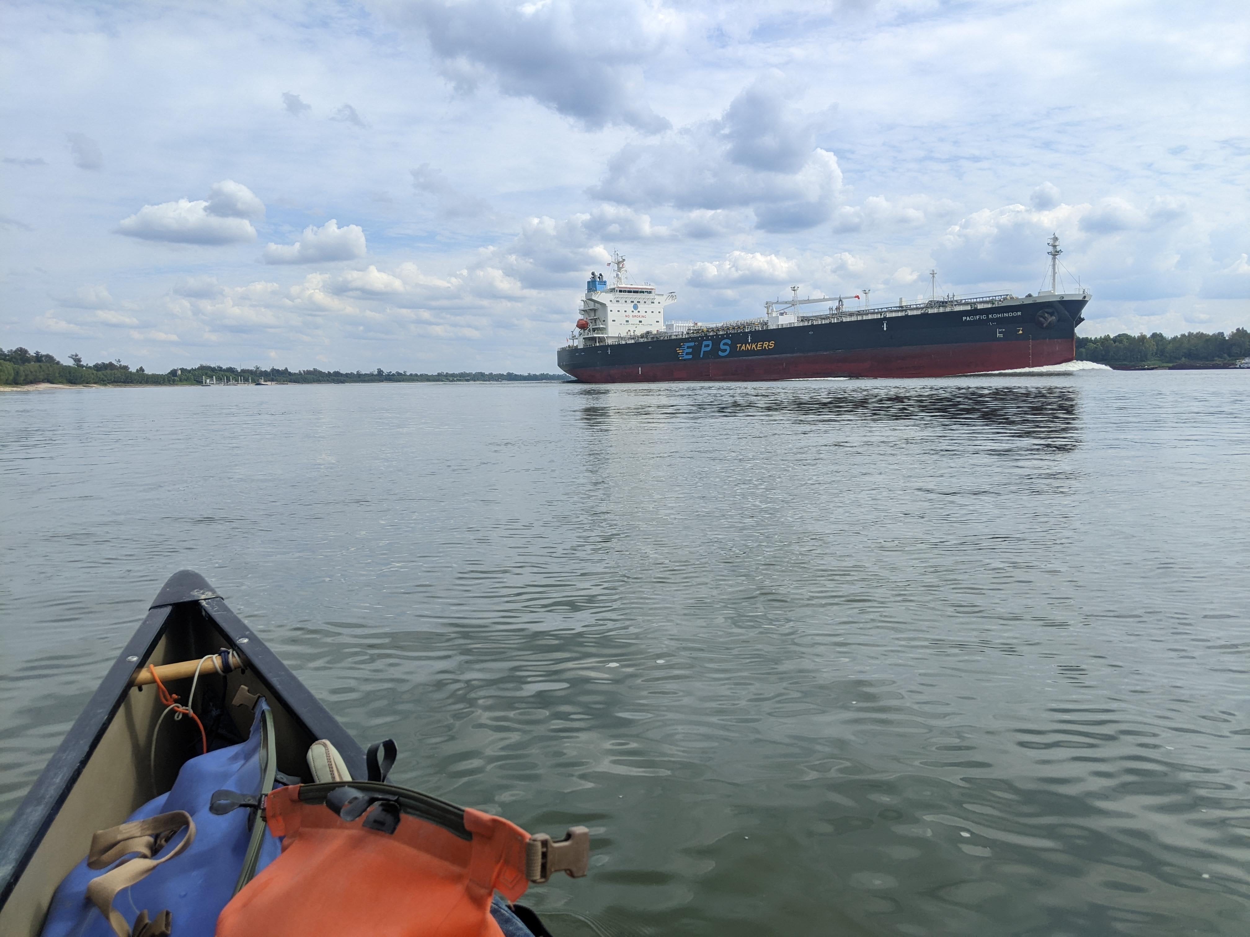 Day 88 - Gator Paradise - by Jean-Canot(J-C) Walker