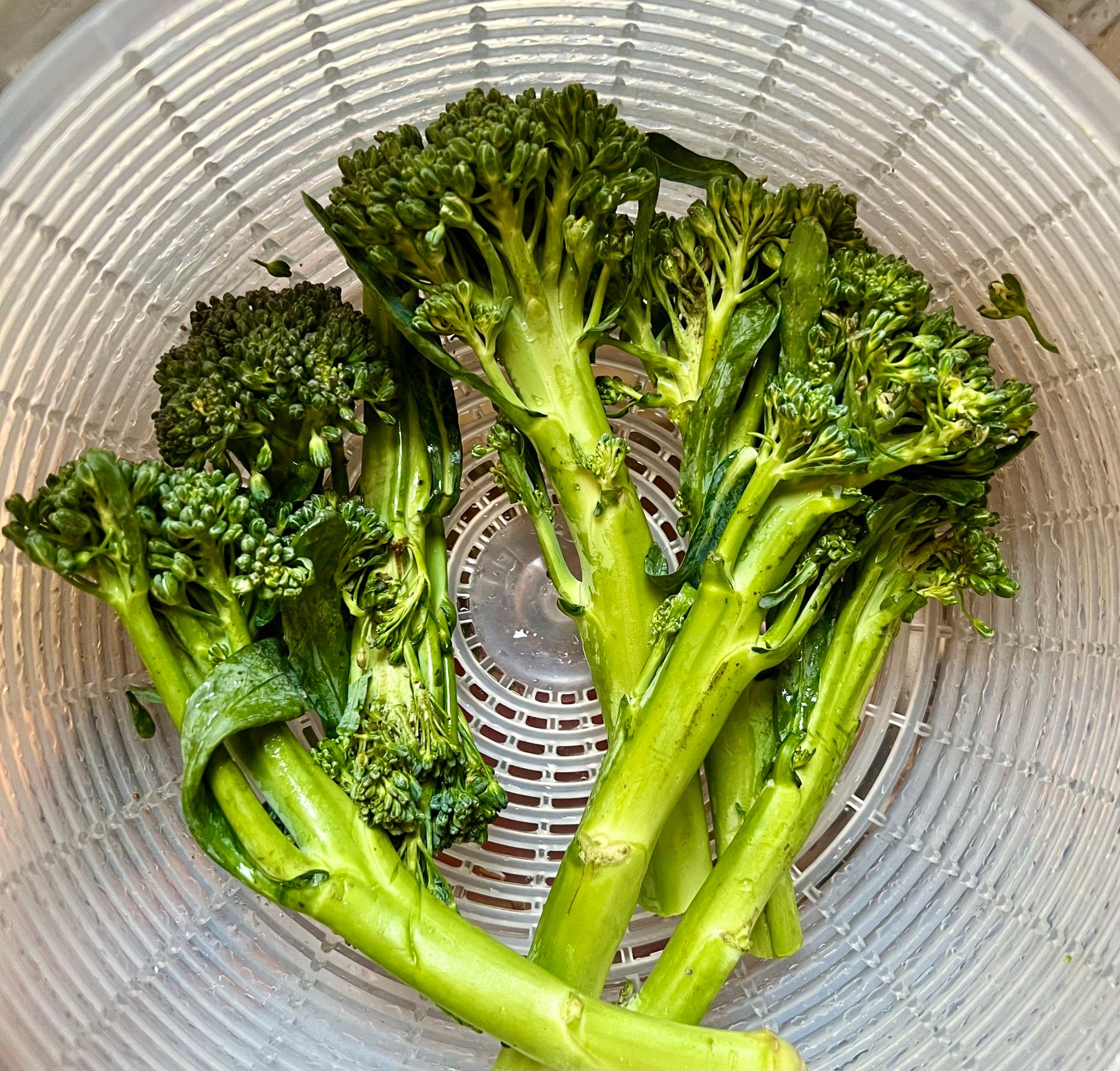 Sizzlin' Skillet of Broccolette - by Sohla El-Waylly