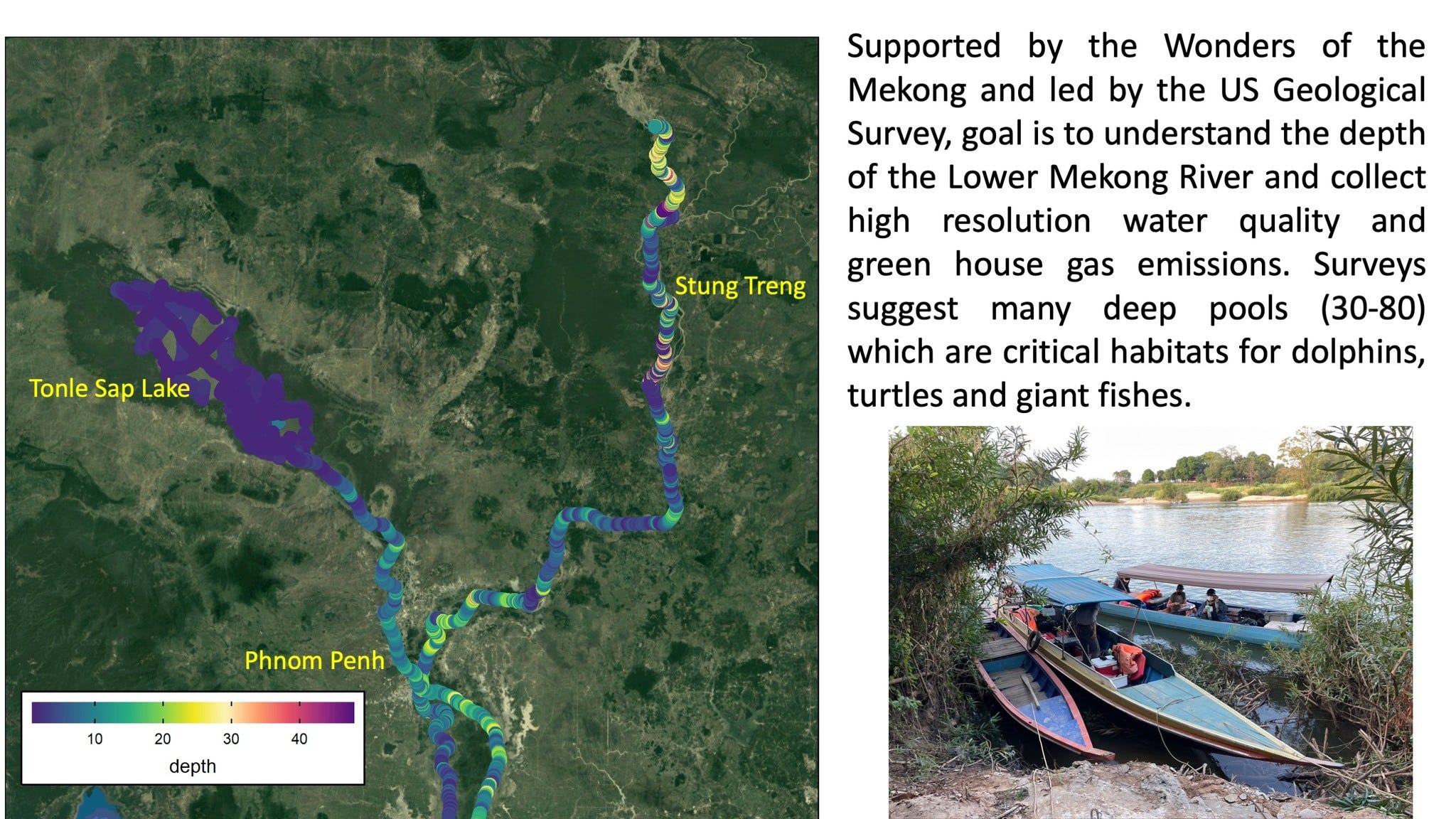 The Record Size of the Giant Mekong Stingray is Just Part of this ...