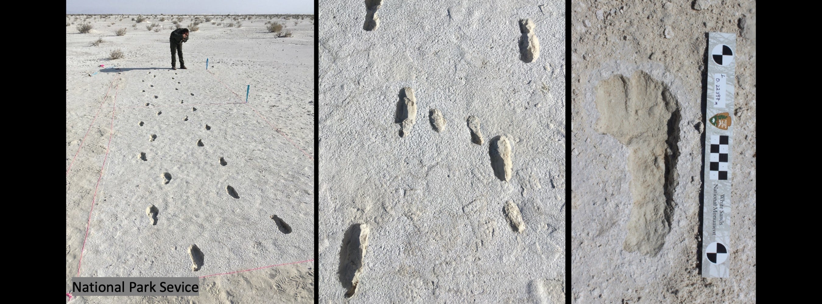 The Deeper Meaning of Ice Age Fossil Footprints in New Mexico's White Sands