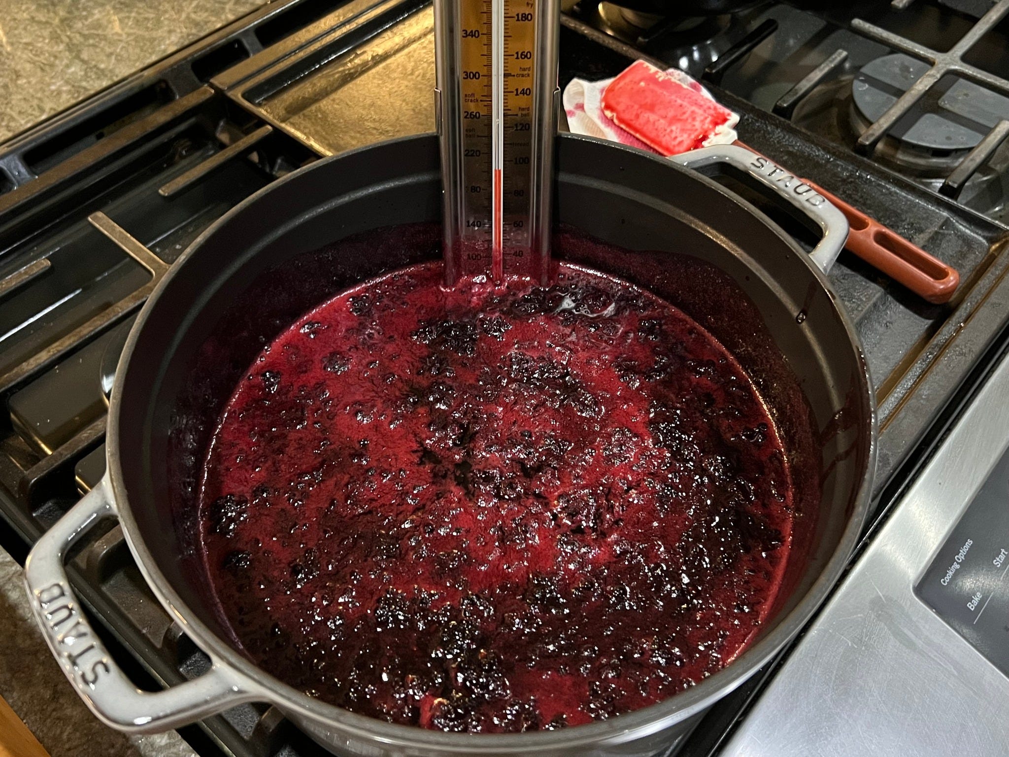 The Summer of Jam! - by Sohla El-Waylly