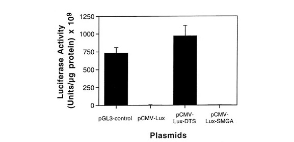 5 ways to skin a (genetically modified) cat