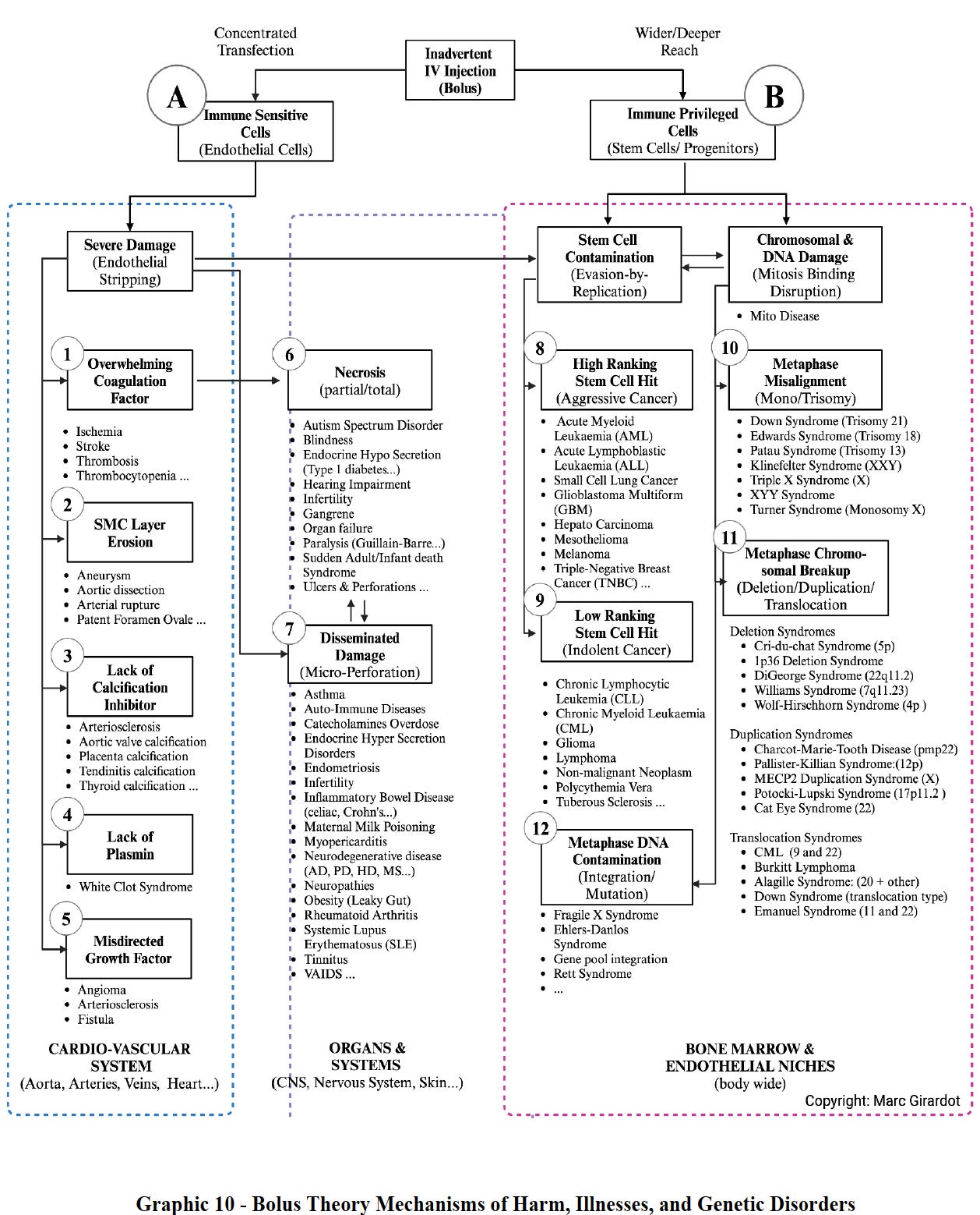 The Bolus Effect: Vaccines, Stem Cells, and the Cancer Puzzle
