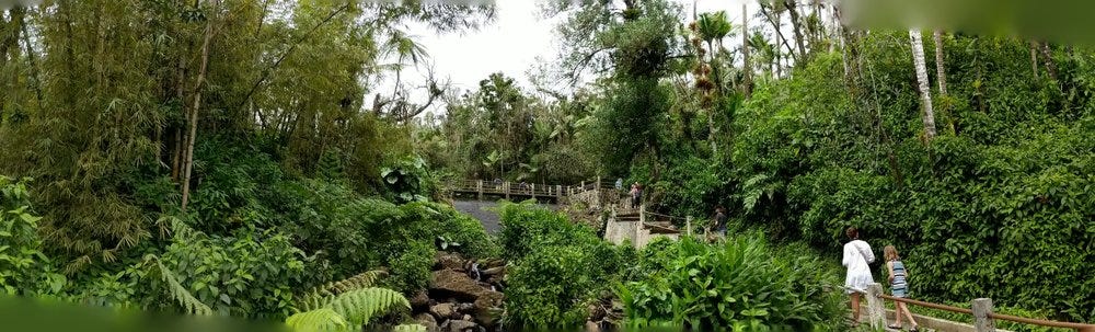 Rainforest Dam Hydrology - a travel case study