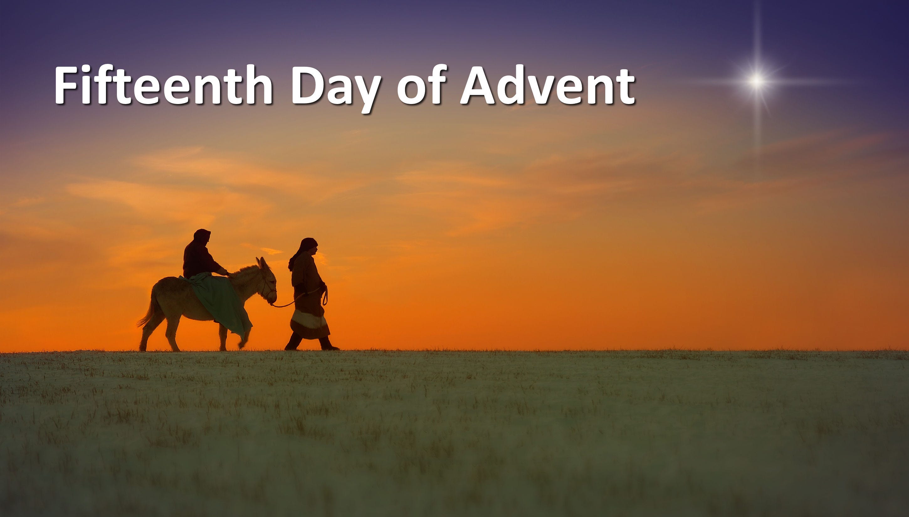 Advent: Day 15 ― A Comfort to Me - by Pastor Randy Booth