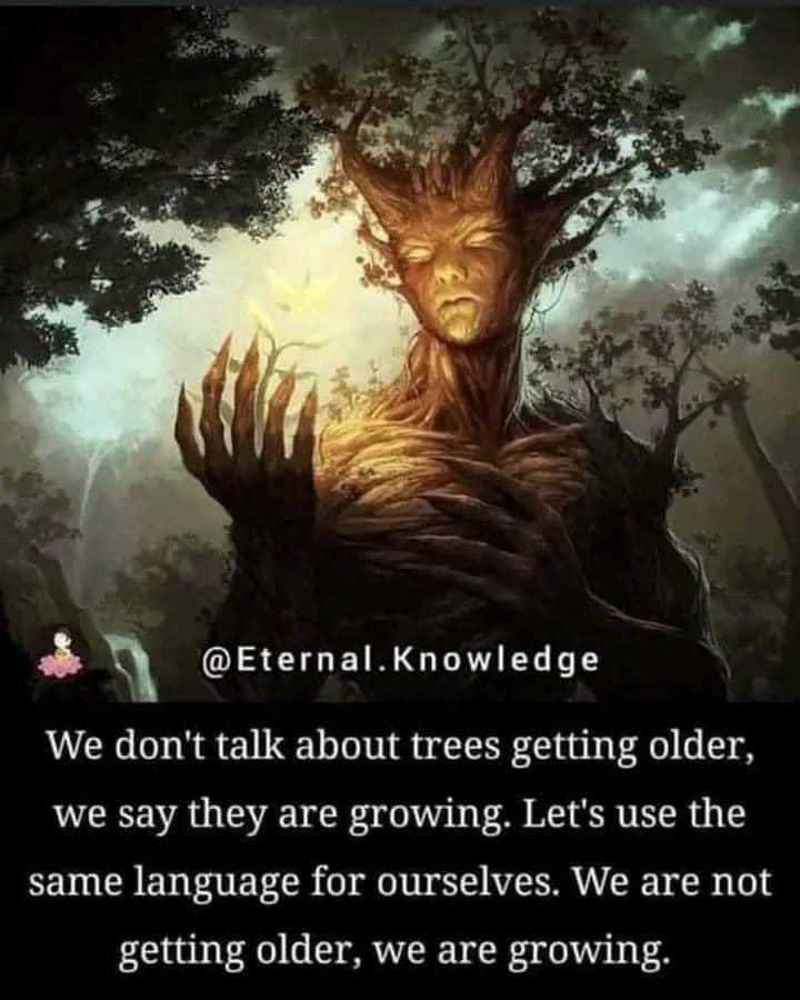 Discovering The Sidhe - Their Goddesses? - by John Willmott