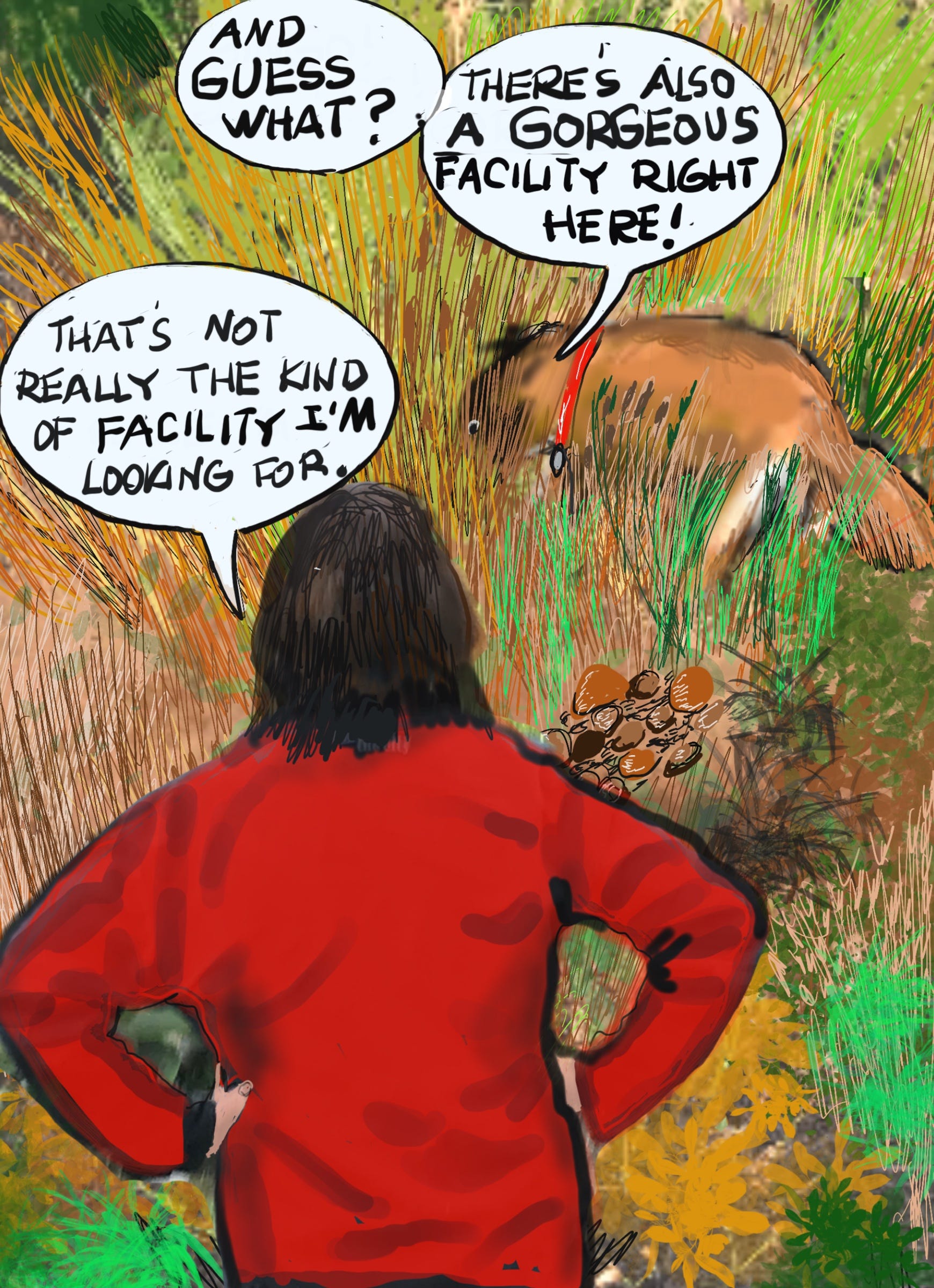 A Walk in the Woods with the Dogs - by Merrill Markoe