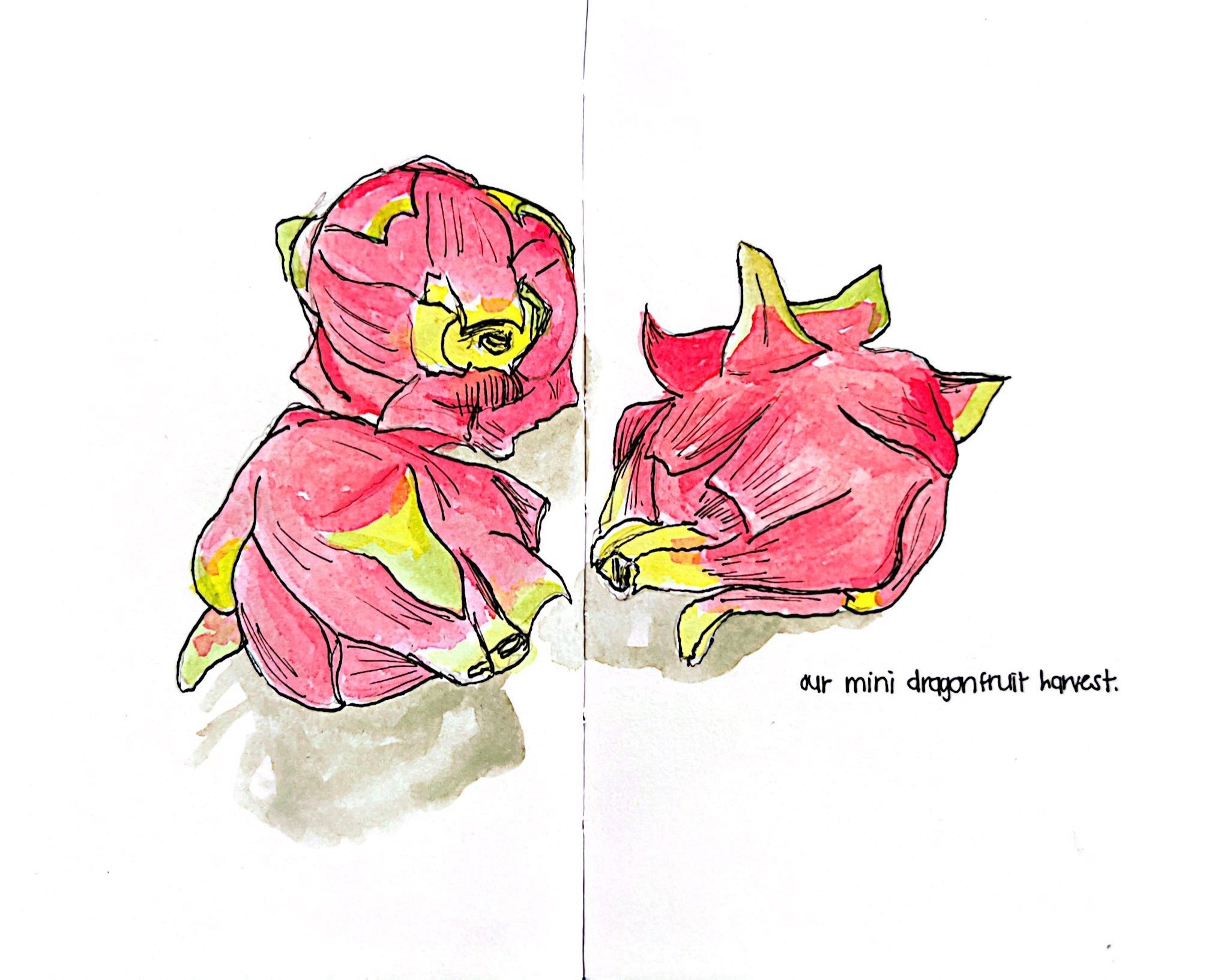 A Funny Miscommunication - by Char Villena