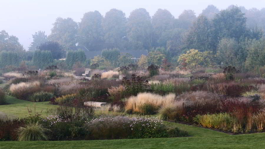 10 Indie Film Success Stories - by Jon Fitzgerald