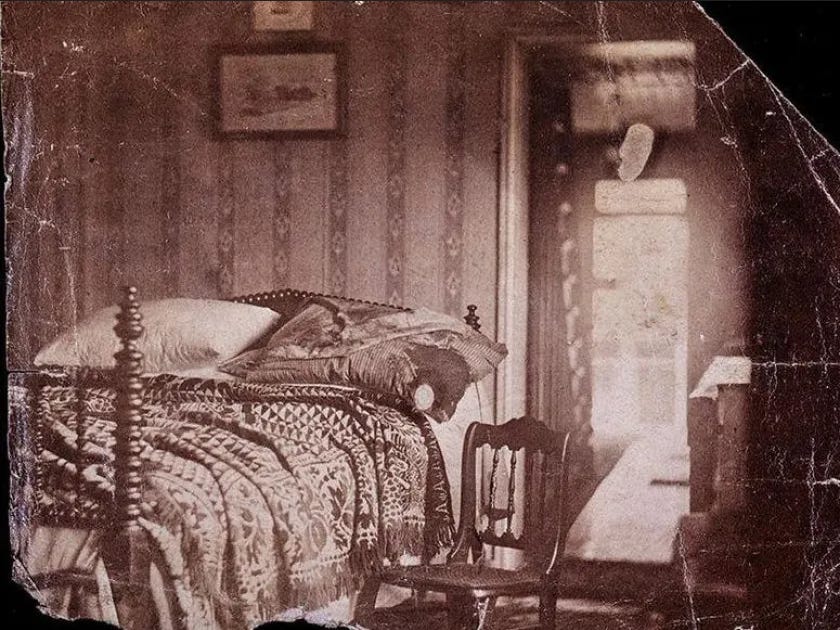 Photo of the Day - by Brenda Elthon - Photo of the Day