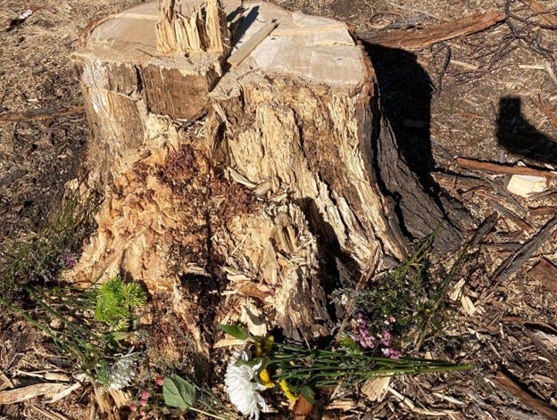 The story of the tree altar