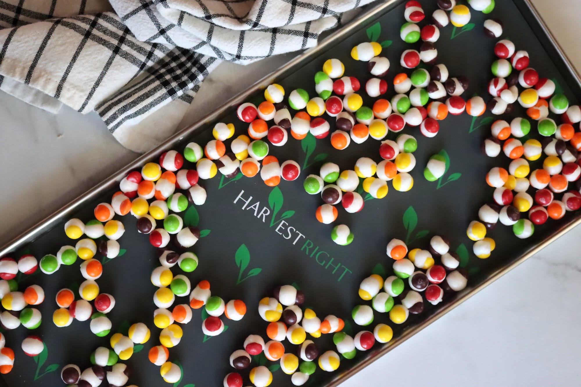 Freeze Dried Candy (& More Freeze Drying Fun)