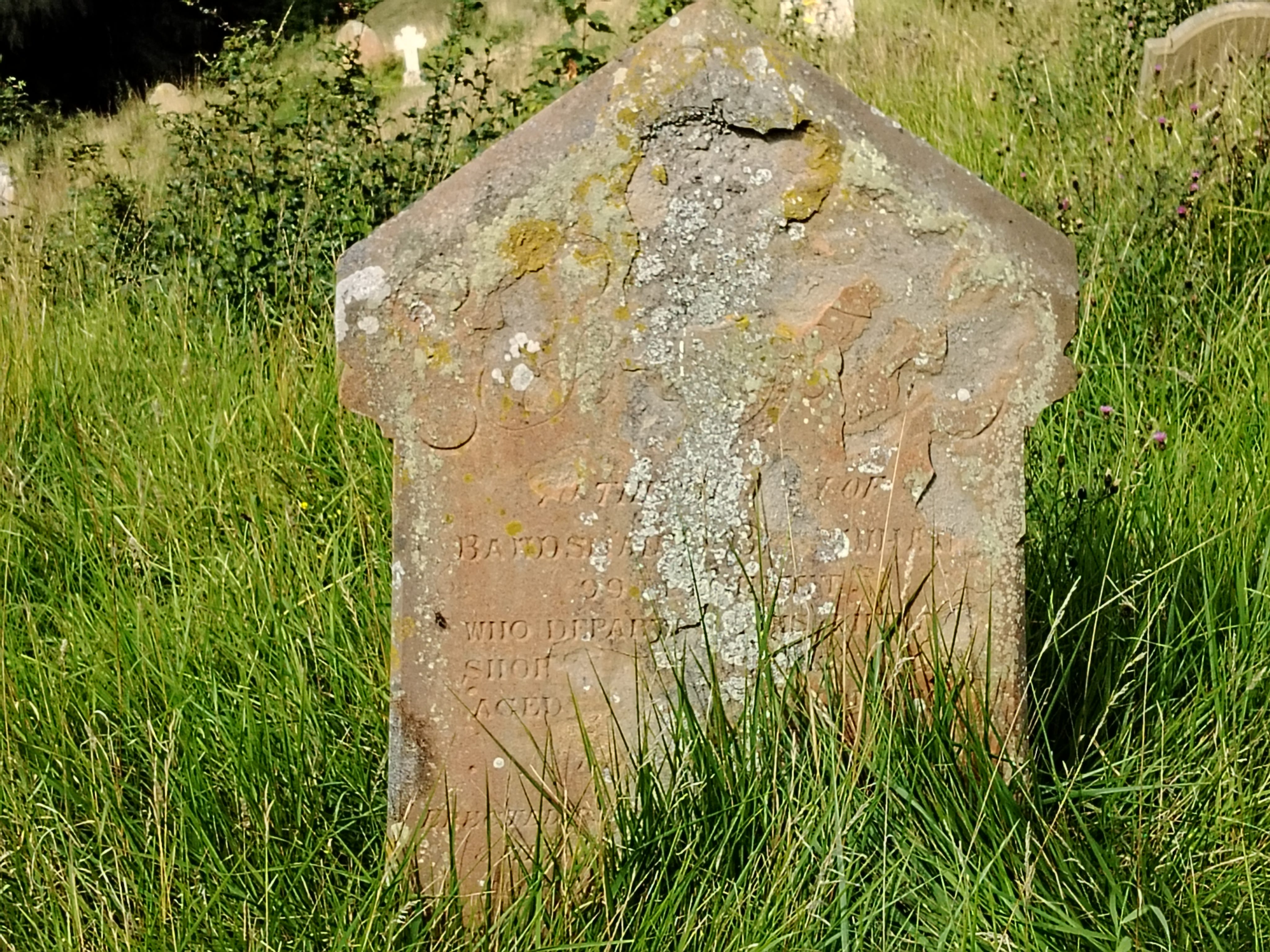 Me and my Sub stack - by Peter Anderson - Peter’s Substack