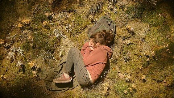 O gênero como gramática - by Isadora Sinay - Da janela