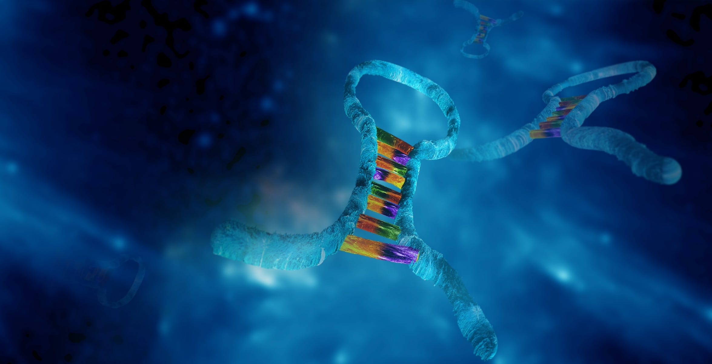 microRNA in Cancer - by Eric Fish, DVM, PhD