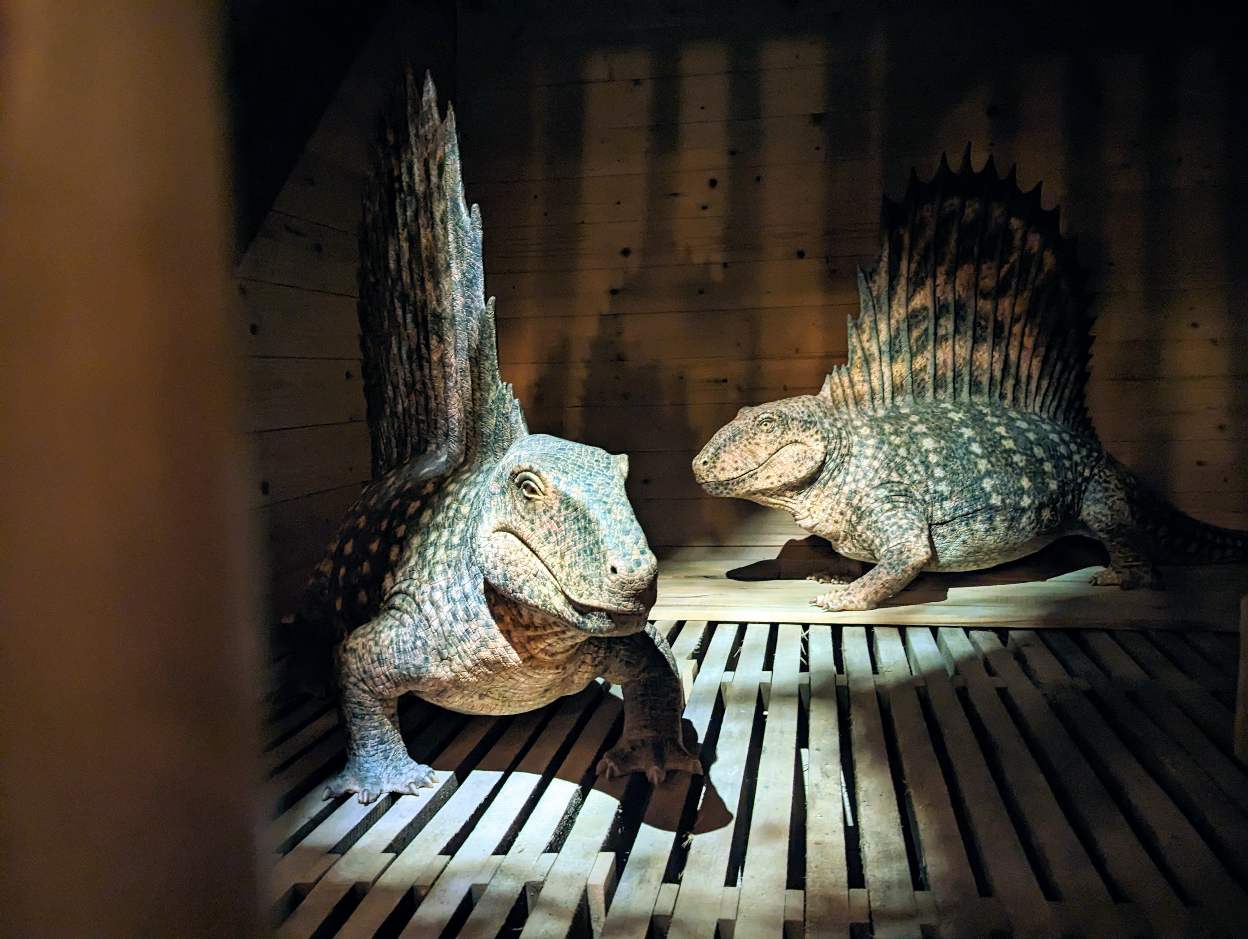 Were there Dinosaurs on the Ark? - by Natan Slifkin