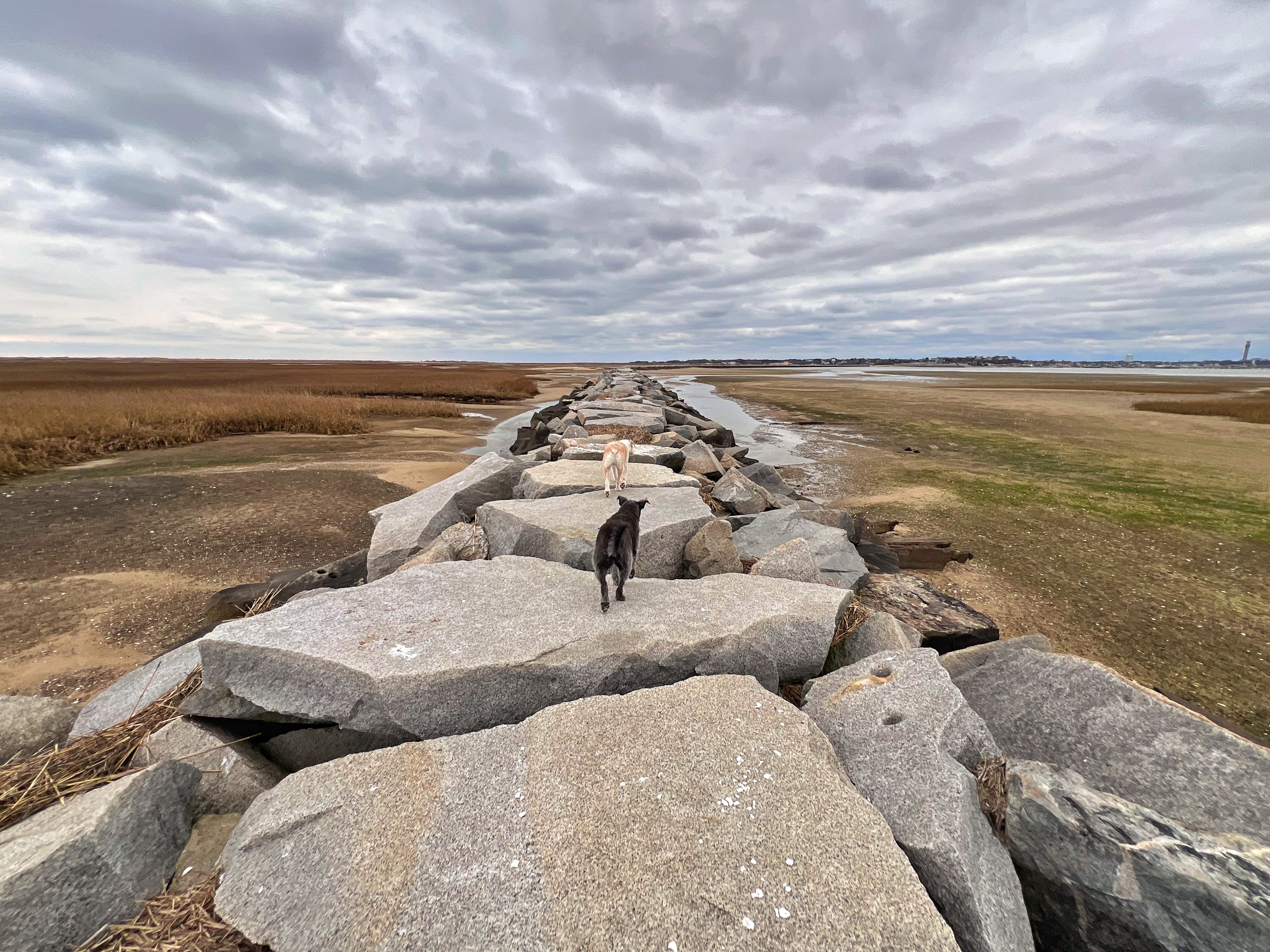 The Storm Rages & We Hunker Down - Tom Ryan, Author