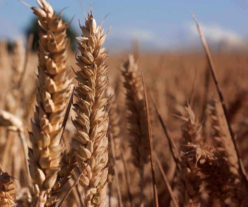 Saskatchewan's Bourgault Industries Ltd. acquired by Linamar Corporation