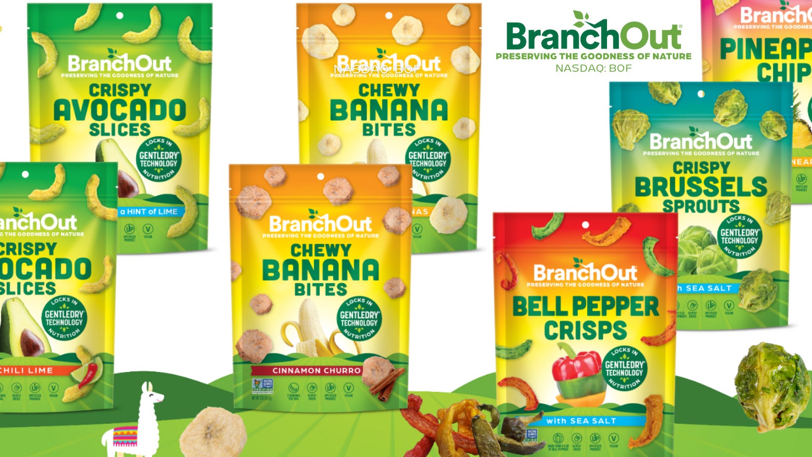 BranchOut Food Successfully Completes Part of Strategic Collaboration ...