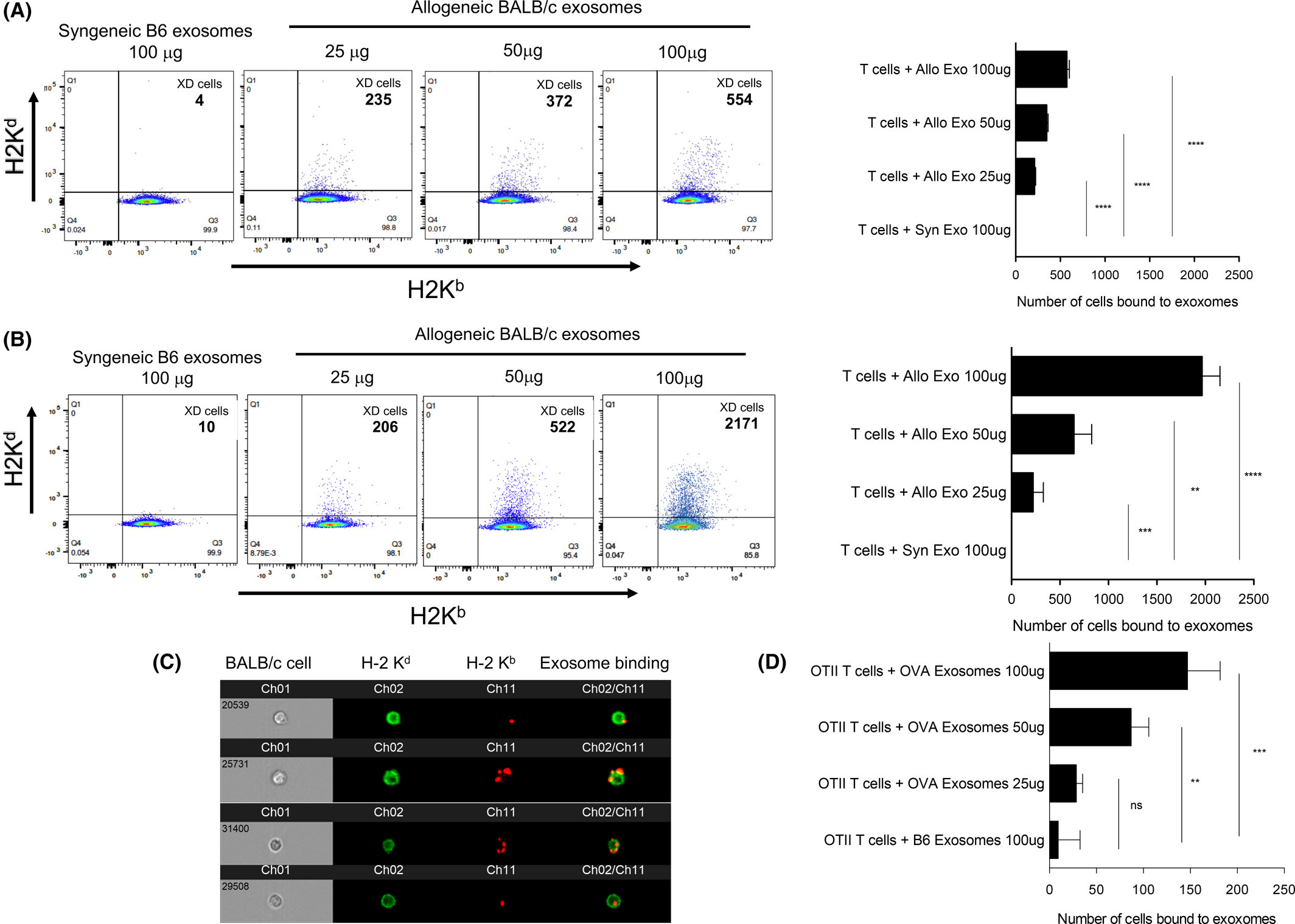 Exosomes, Kinetic Proofreading and Direct Expression: How the Spike ...