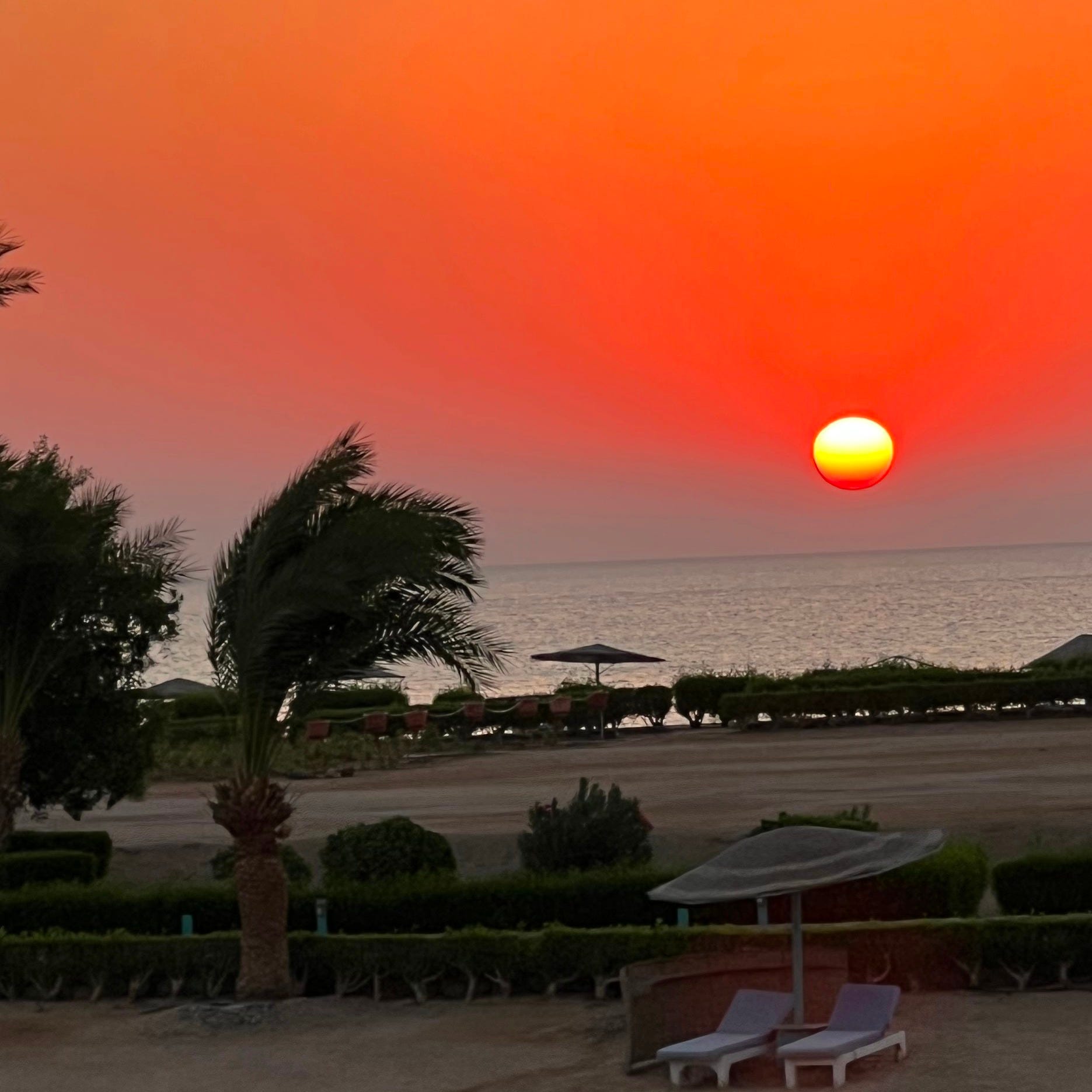 Paul Kato | Substack