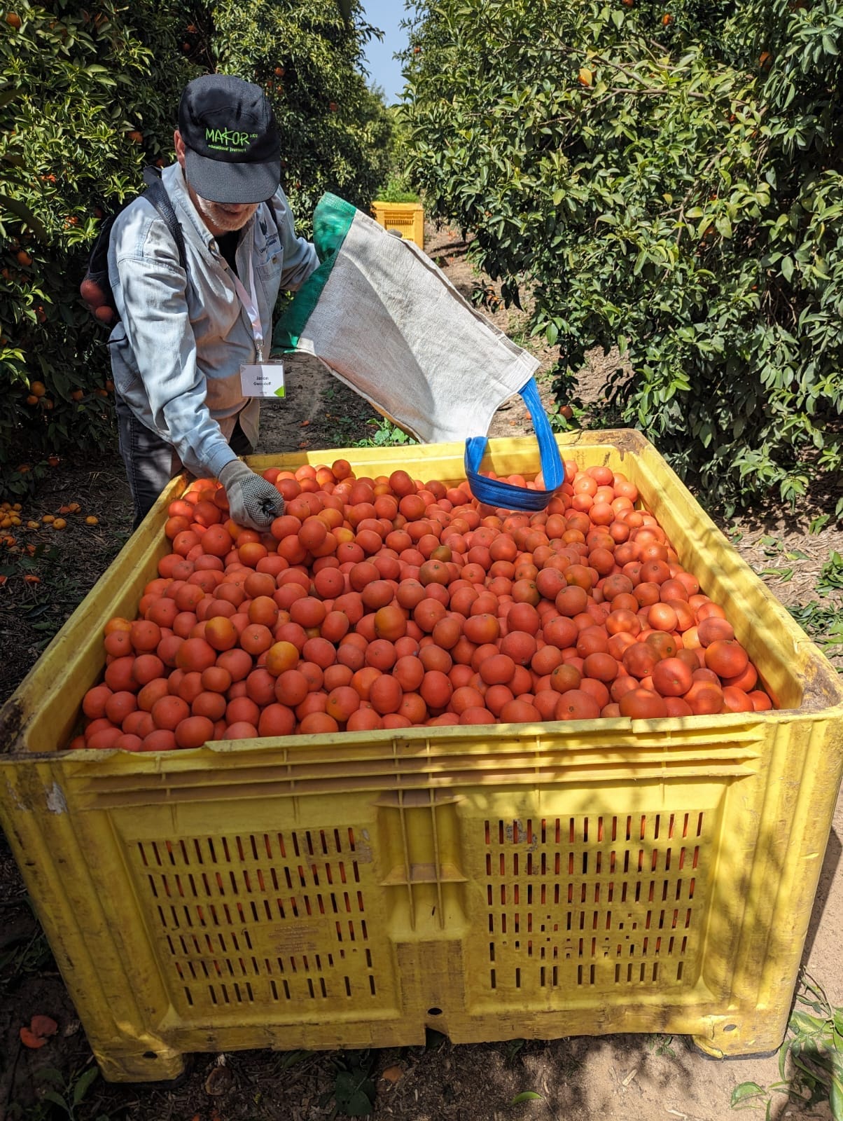 I Made it. - by Brian Leiken - Rabbi Leiken's Substack