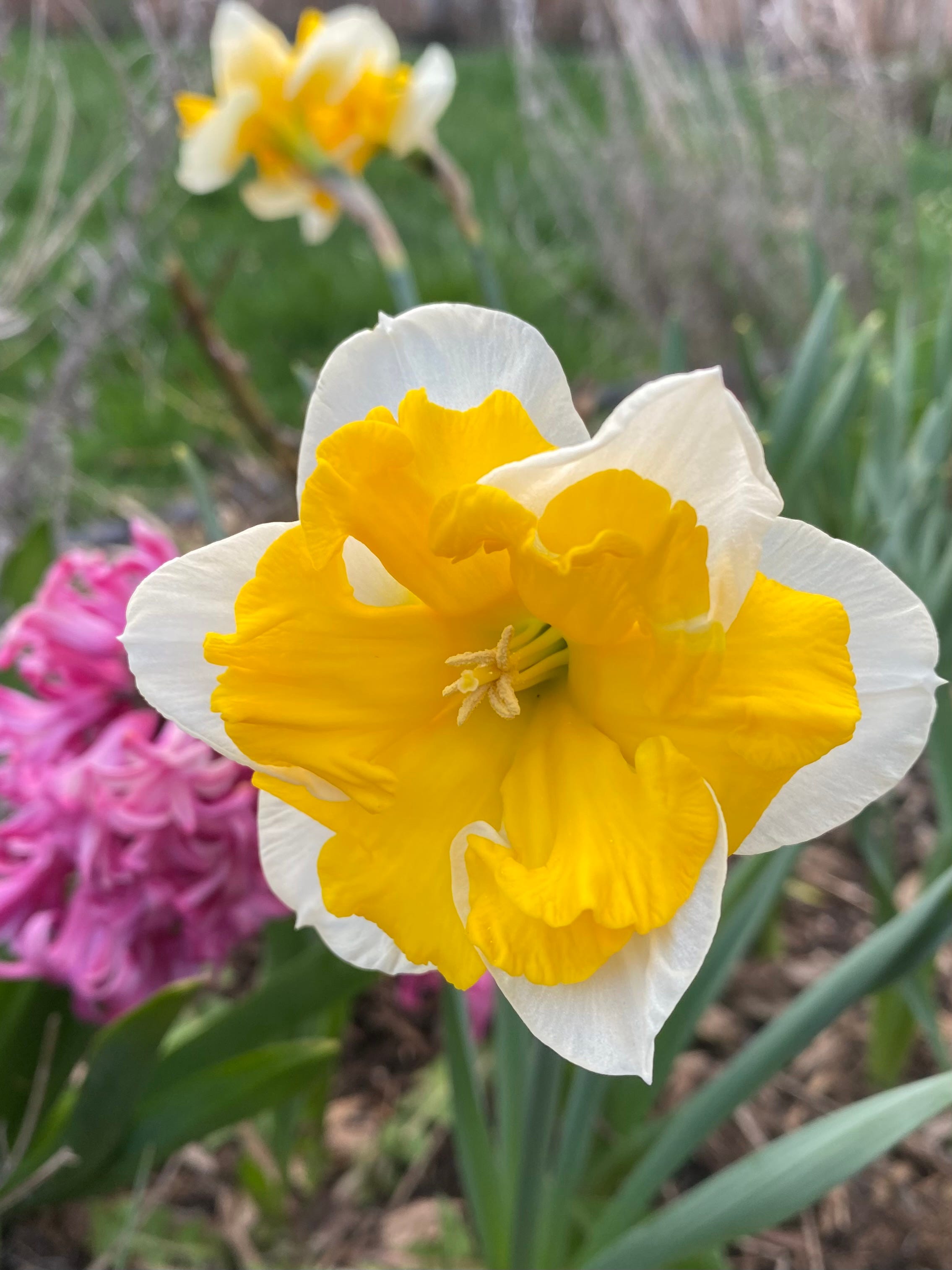 April Things - by Mary Ann Samyn - Cake & Poetry