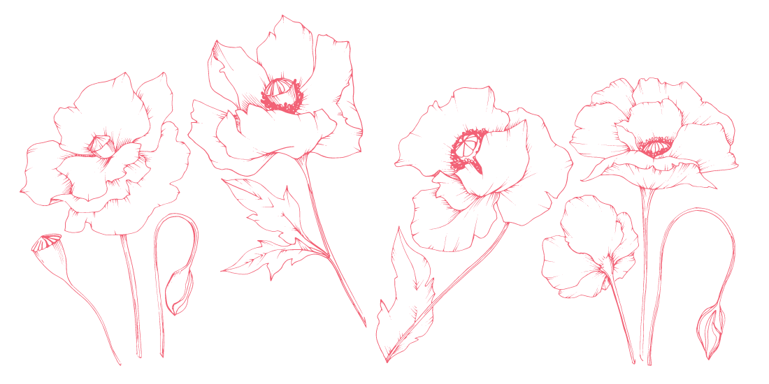 Issue 28: This is how I read - by Petya K. Grady