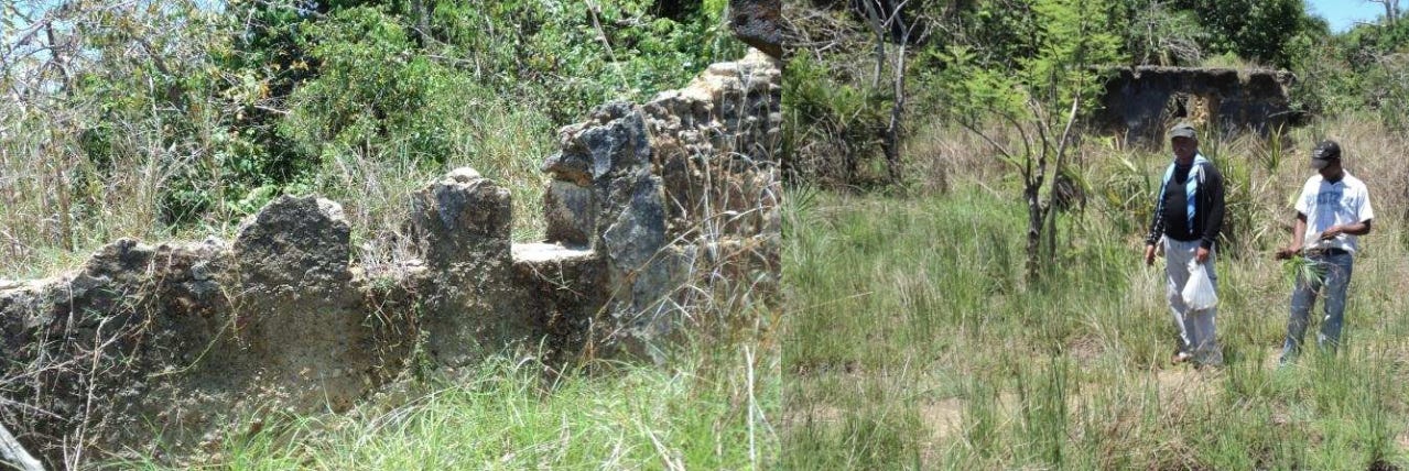 A history of the medieval coastal towns of Mozambique ca. 500-1890 CE.