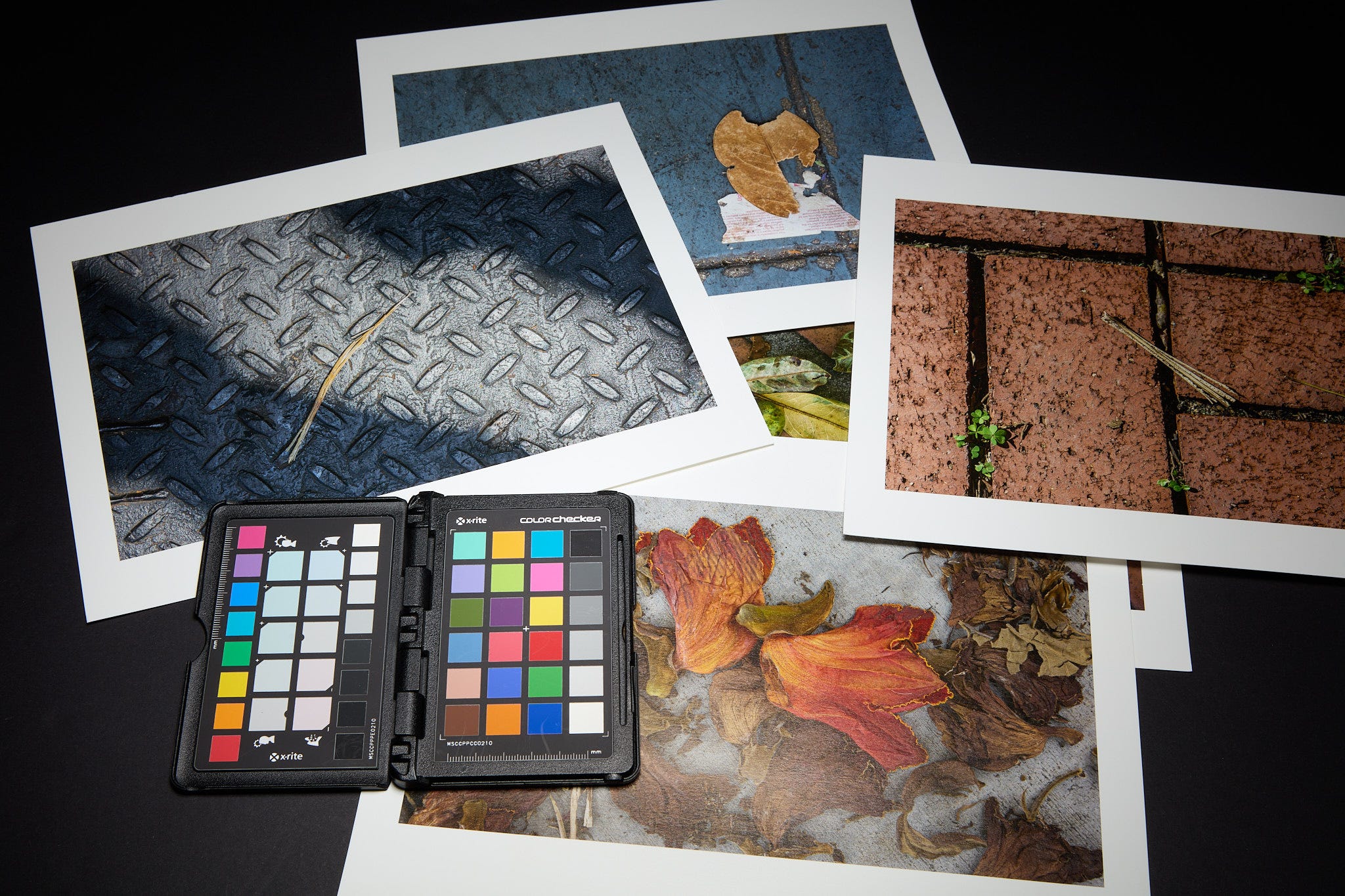 Detritus - by RWB and Paper Arts Collective