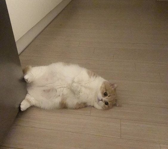 Deploy na Sexta #29: Todo mundo odeia Clean Code?