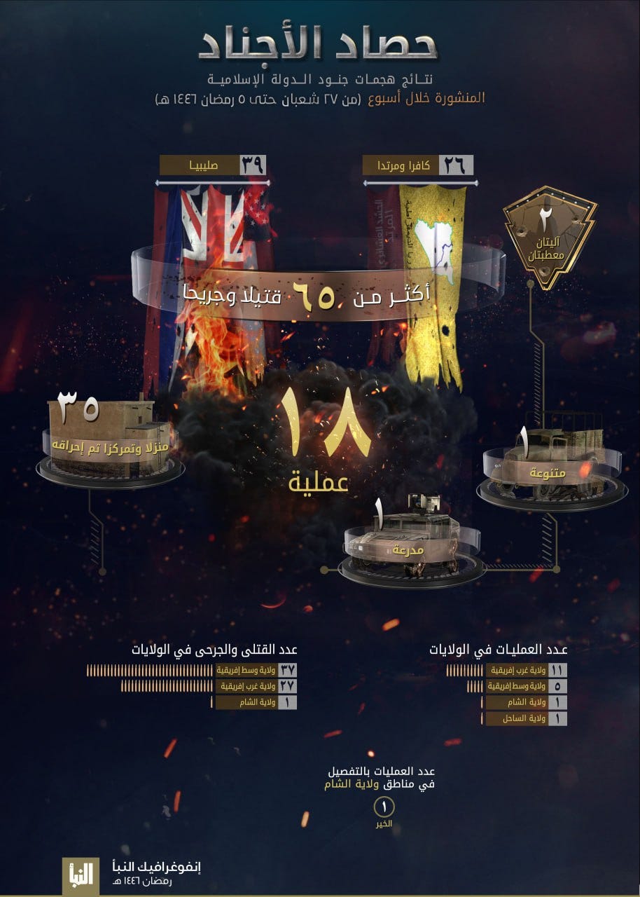 Analysis No. 485 of the Islamic State’s al-Naba weekly.