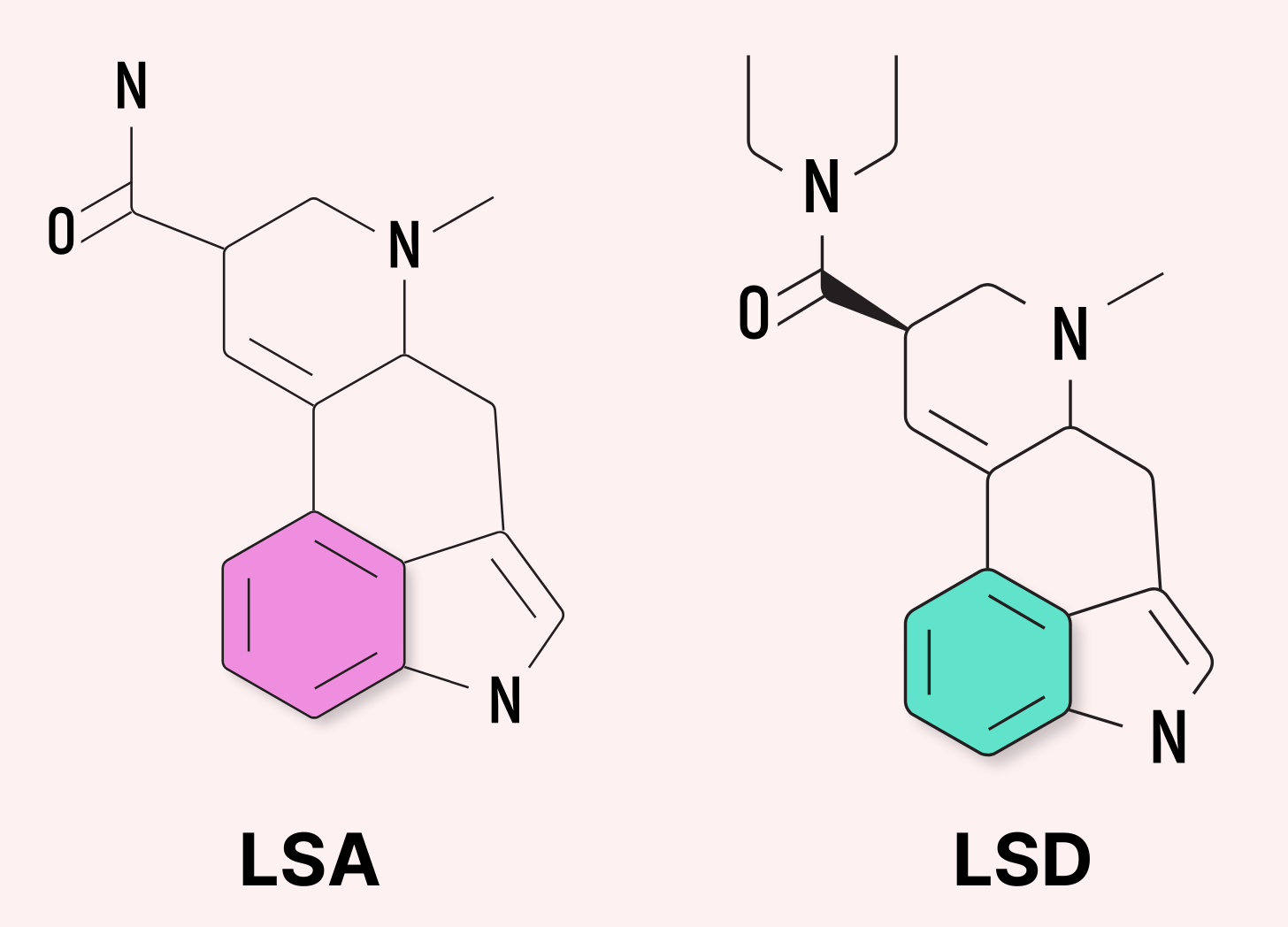 Hawaiian Baby Woodrose Seeds (HBWR): Naturally-Occurring LSA