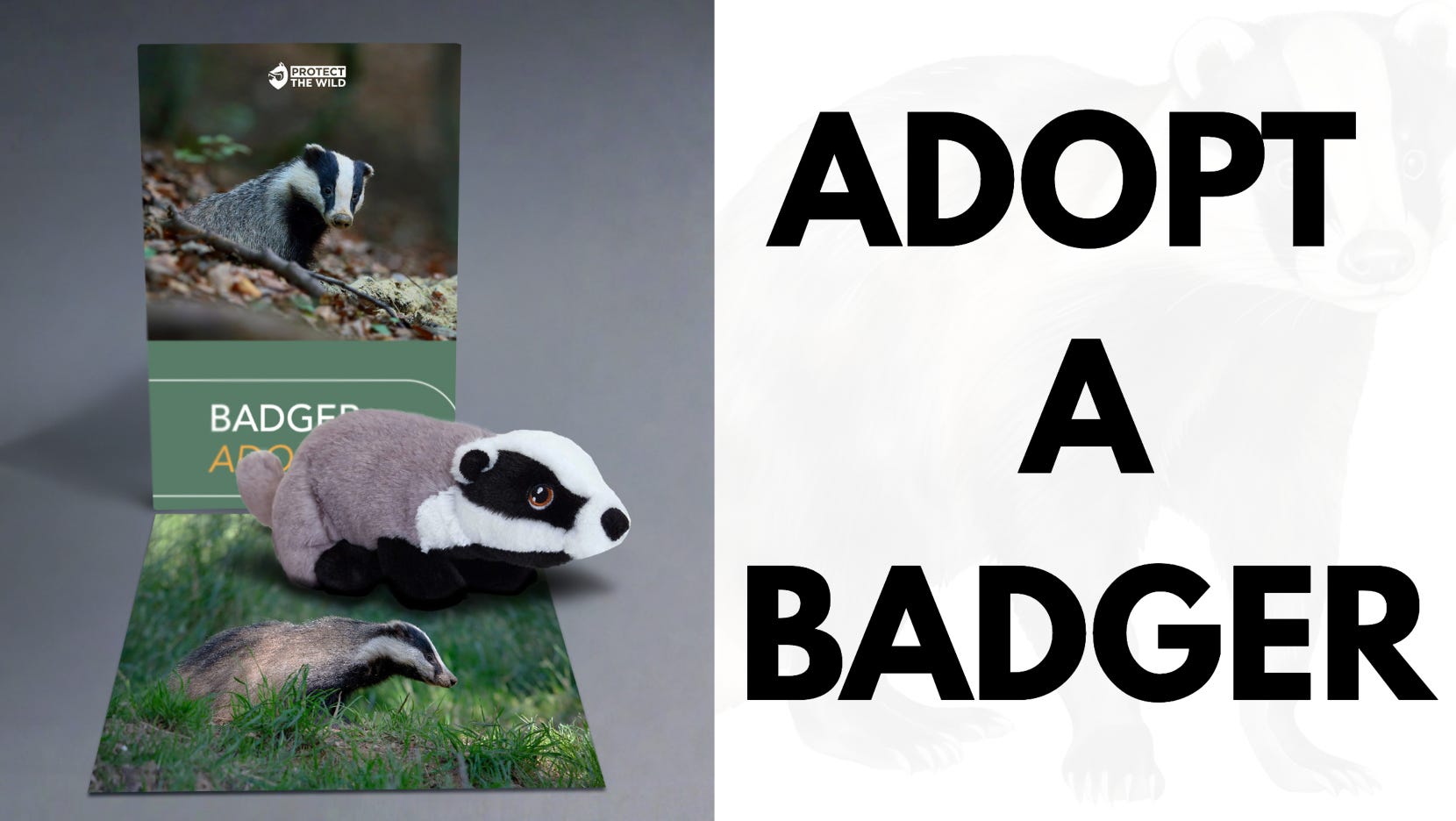 Is the Badger Cull Working? Ask AI! - by Charlie Moores