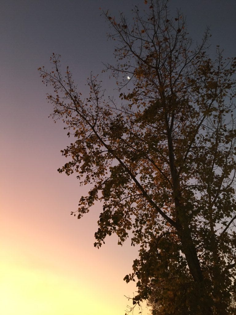 Your center is your place of balance - by Ysette