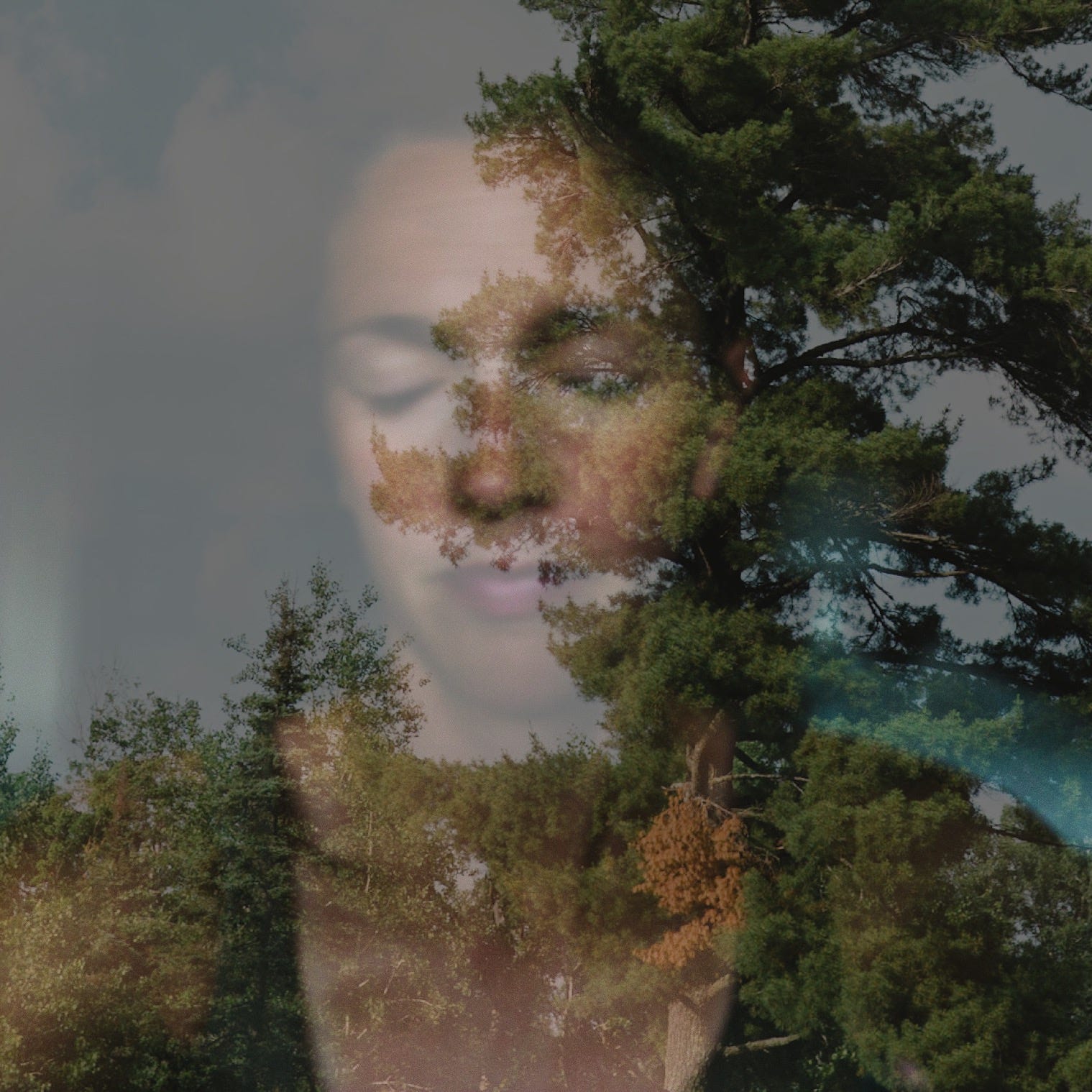 Elyse' Jokinen | Substack