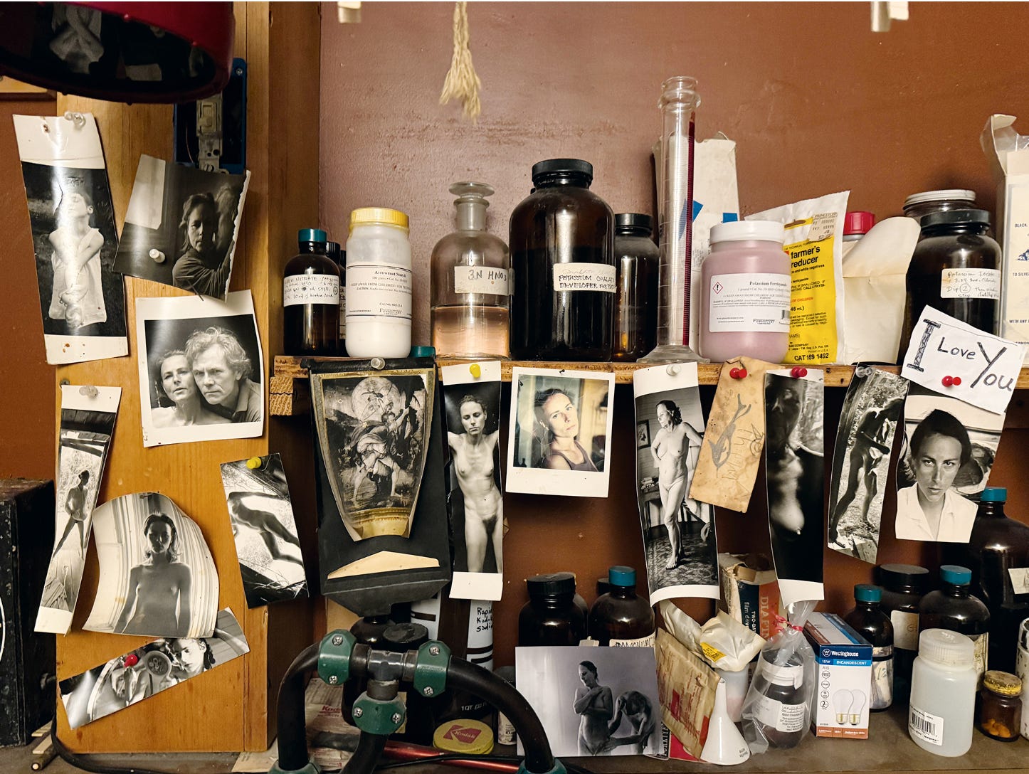 Analogue Vs. Pocket Photography - by Stephenie Hollyman