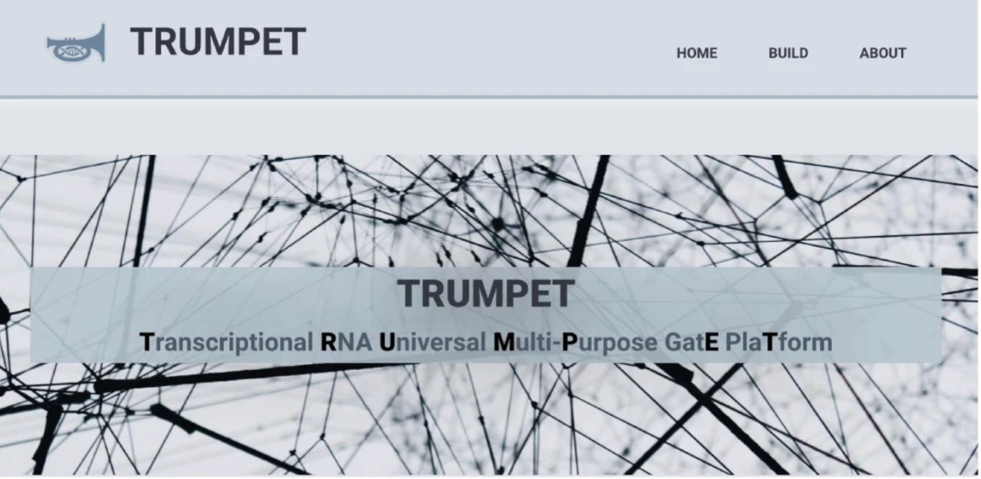 Tech in Bio Recap: Organoid Intelligence; AI Platforms; Biocomputing ...