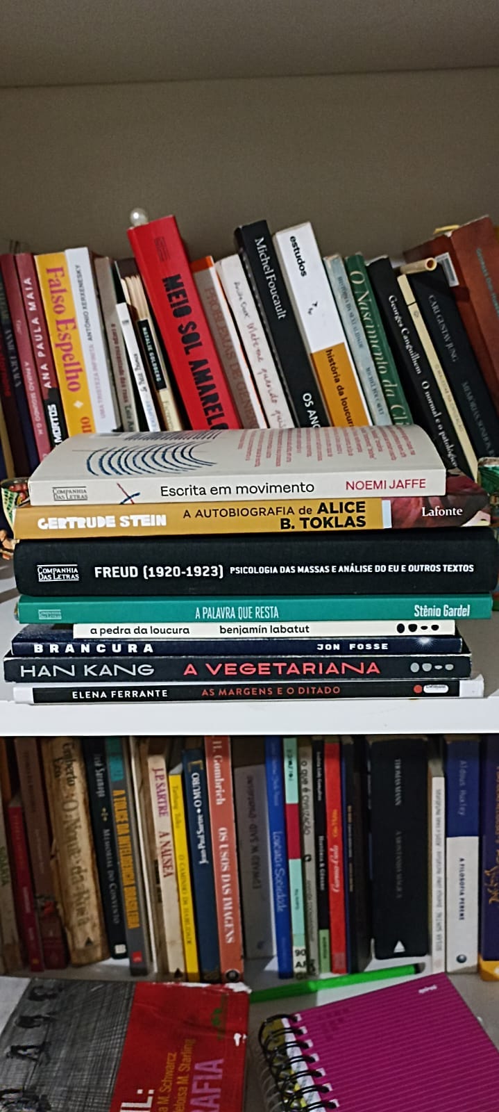 Retrospectiva literária de 2023 - by Raisa Monteiro Capela