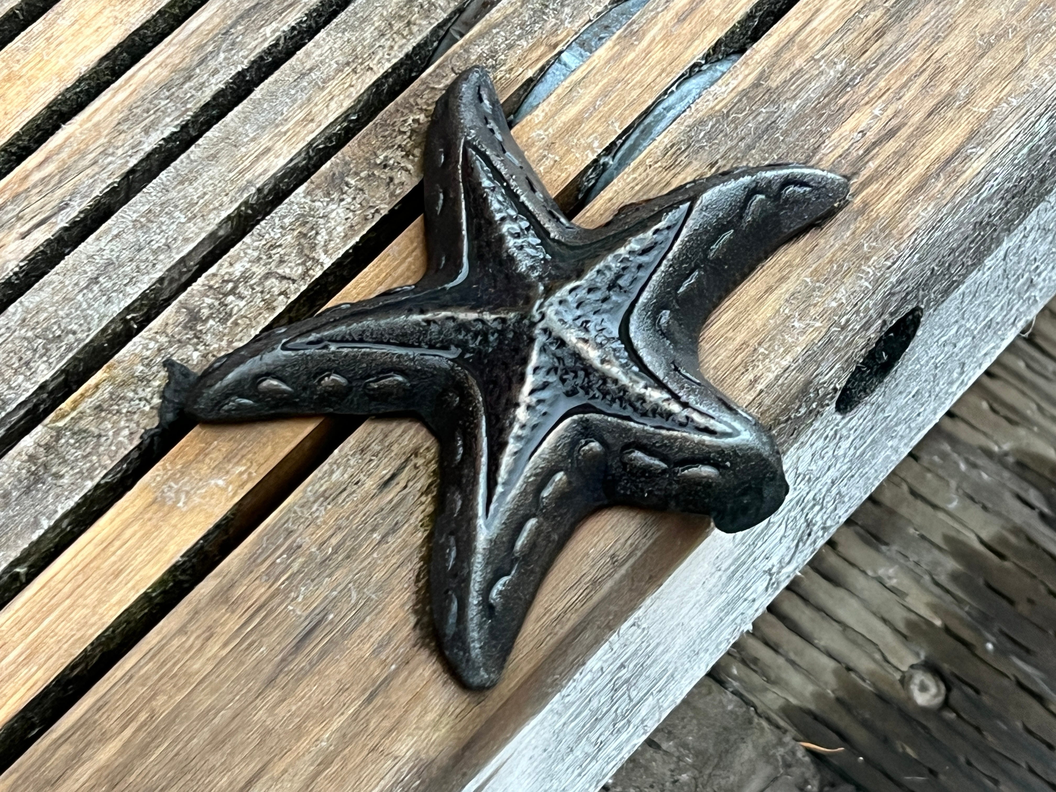 Sea stars lost in the Salish Sea - by Heather Heying