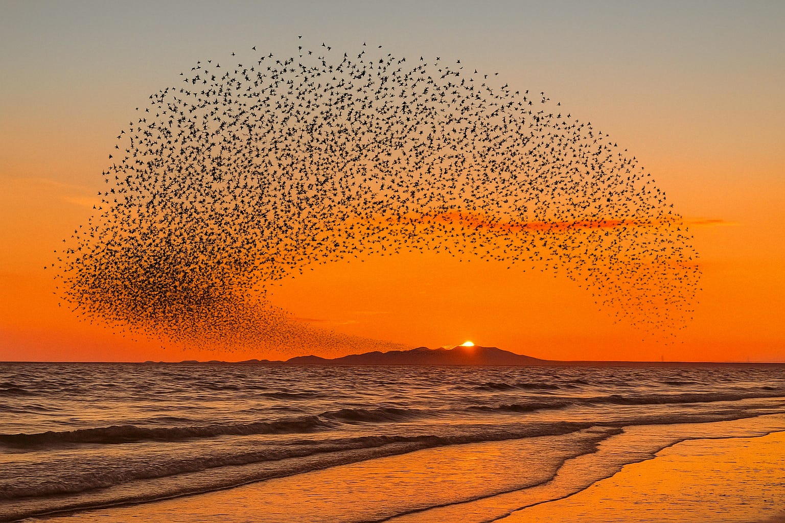 The Age of Transition - by Glenn DeVore