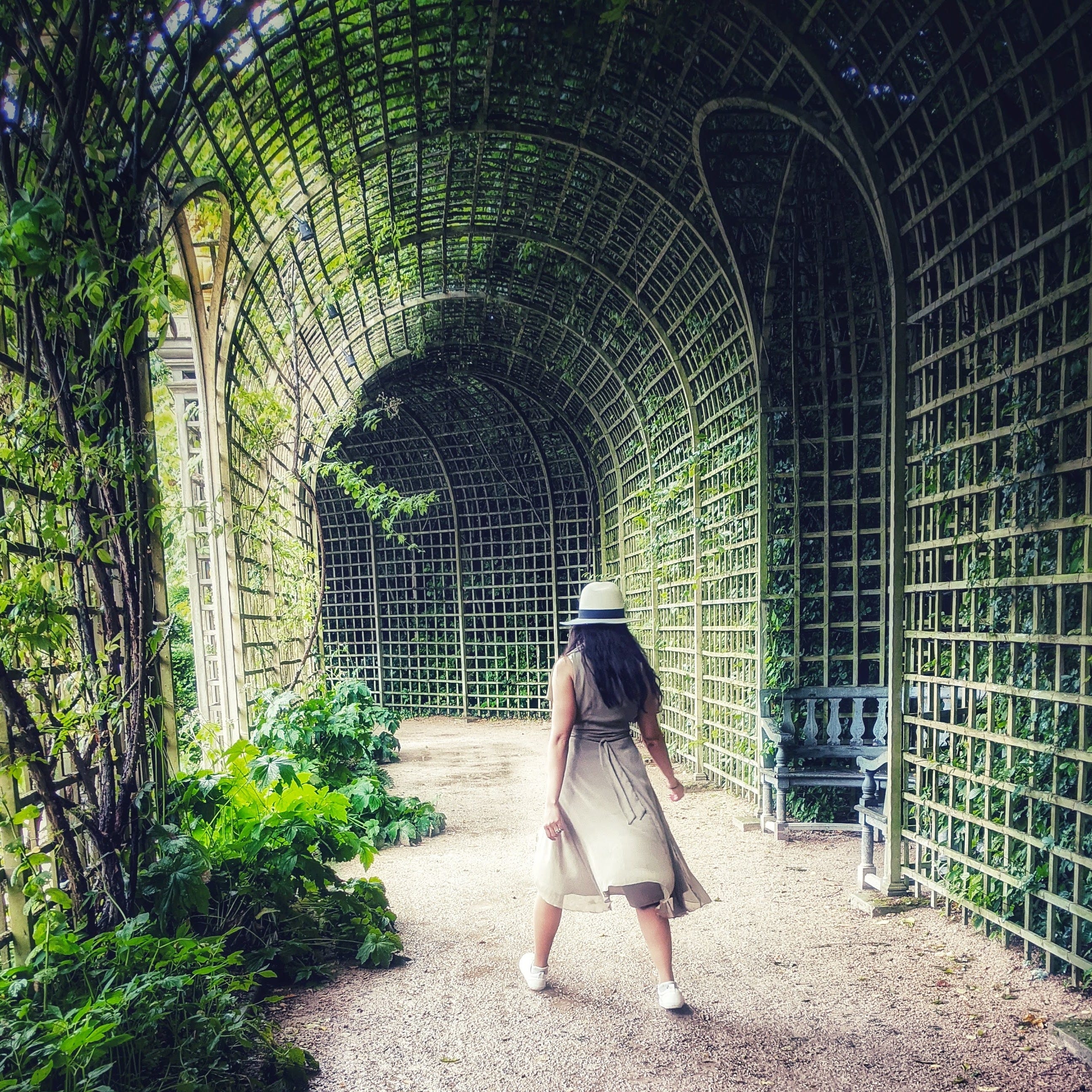 Poetic Grace | Substack