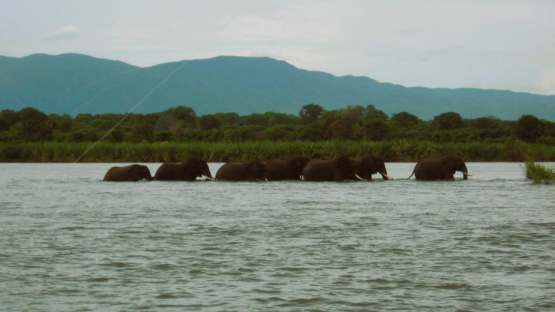 Houses of Cards - by Dirk B. Engelbrecht - Dirk’s Substack