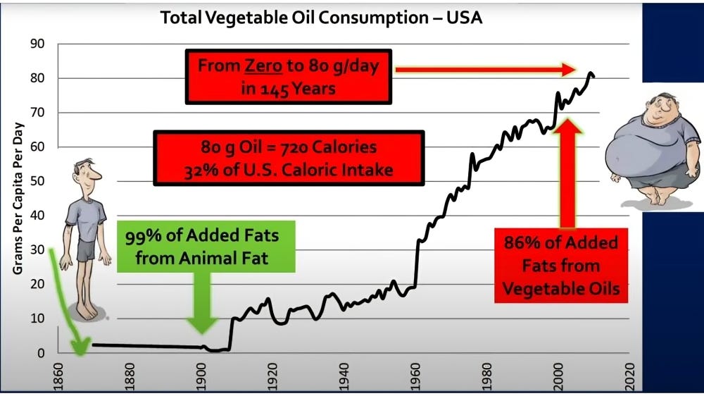 Why Are We So Fat and Unhealthy? Seed Oils Explained