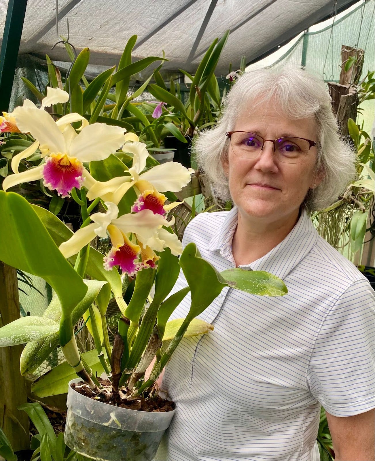 ‘The Queen’ of Flowering Plants Is for First Ladies